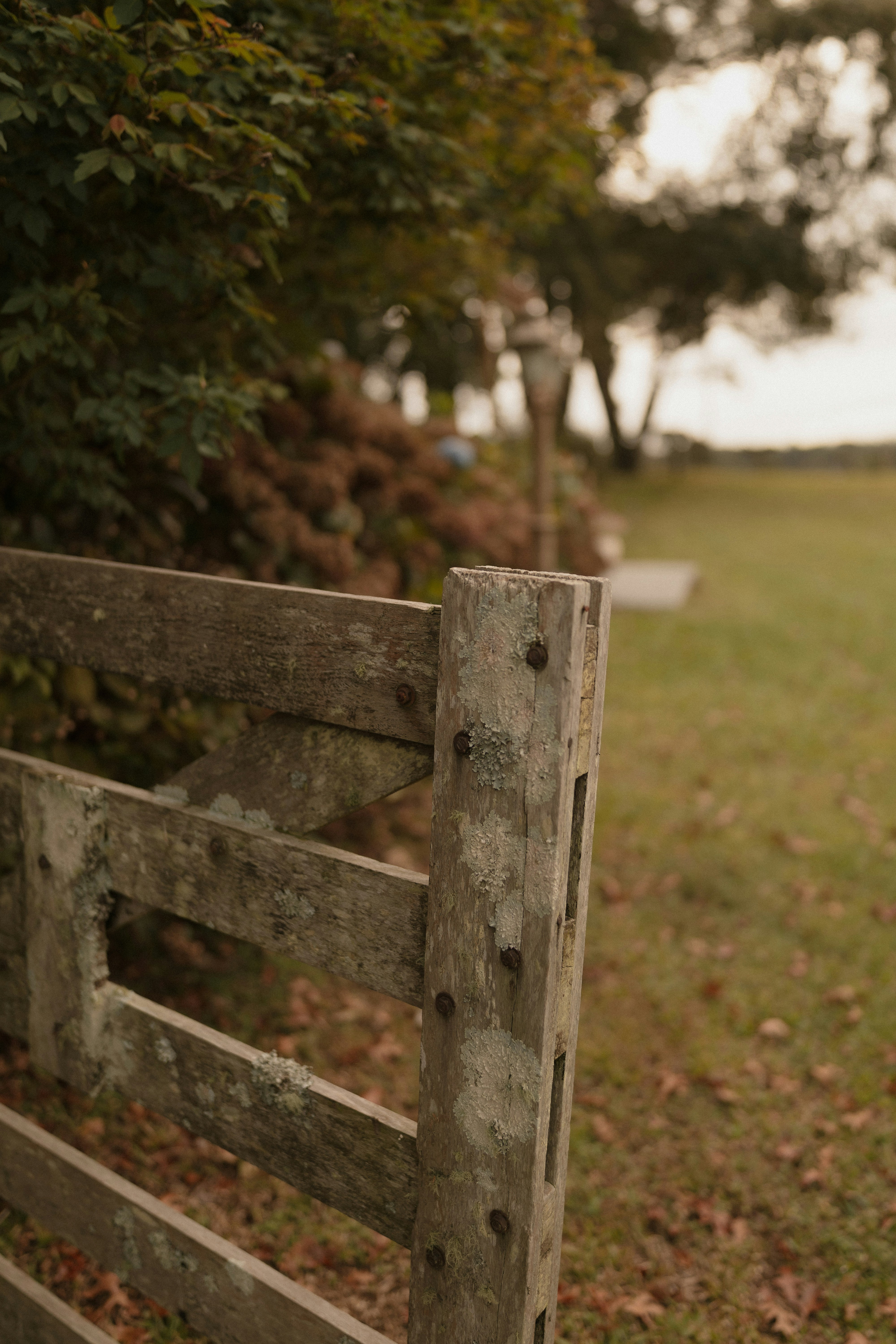 Weathered Gatepost in Quiet Park