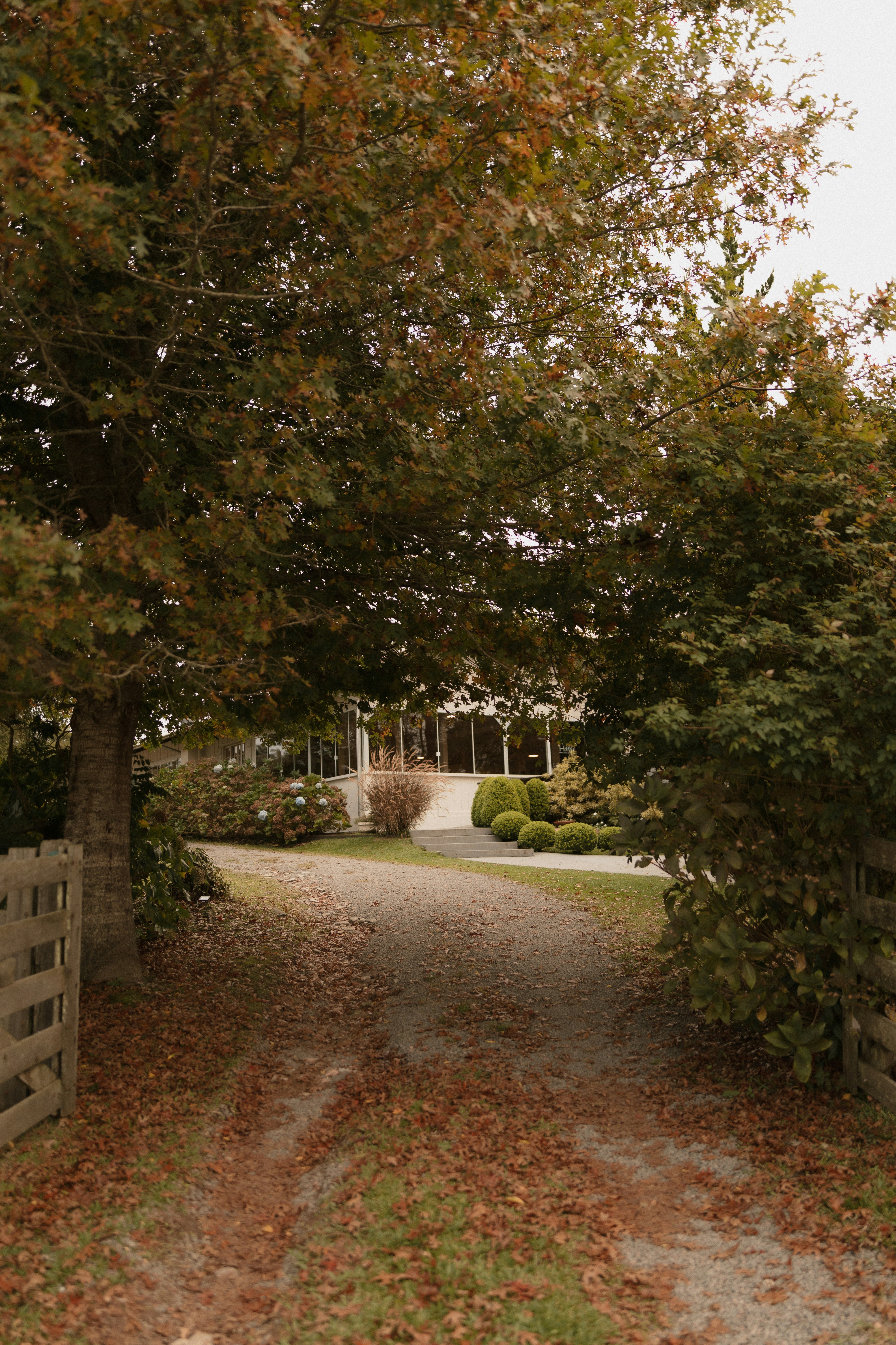 Autumnal Pathway Framed by Gallery of Greenery