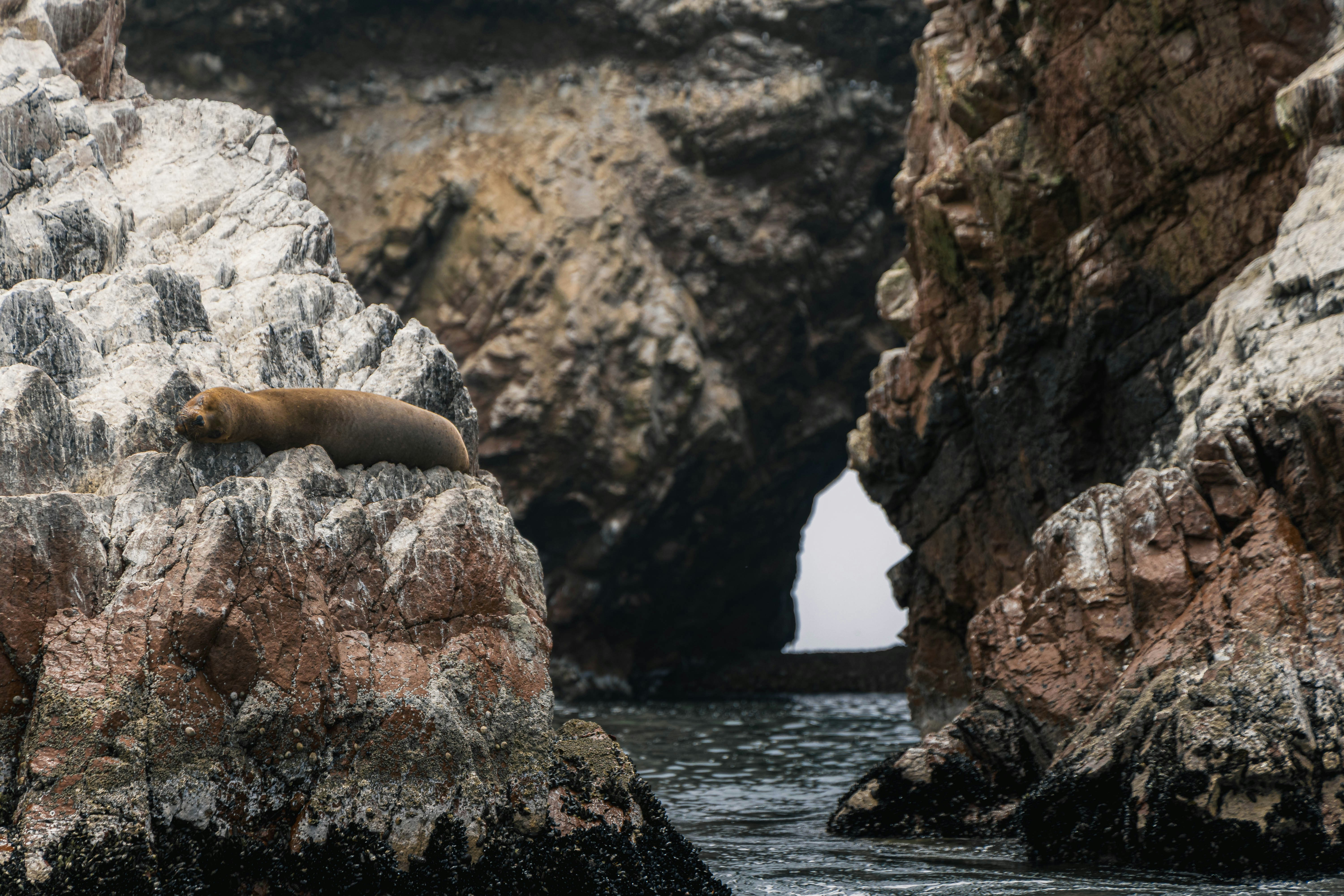 Seabreeze Rest at a Narrow Sea Arch