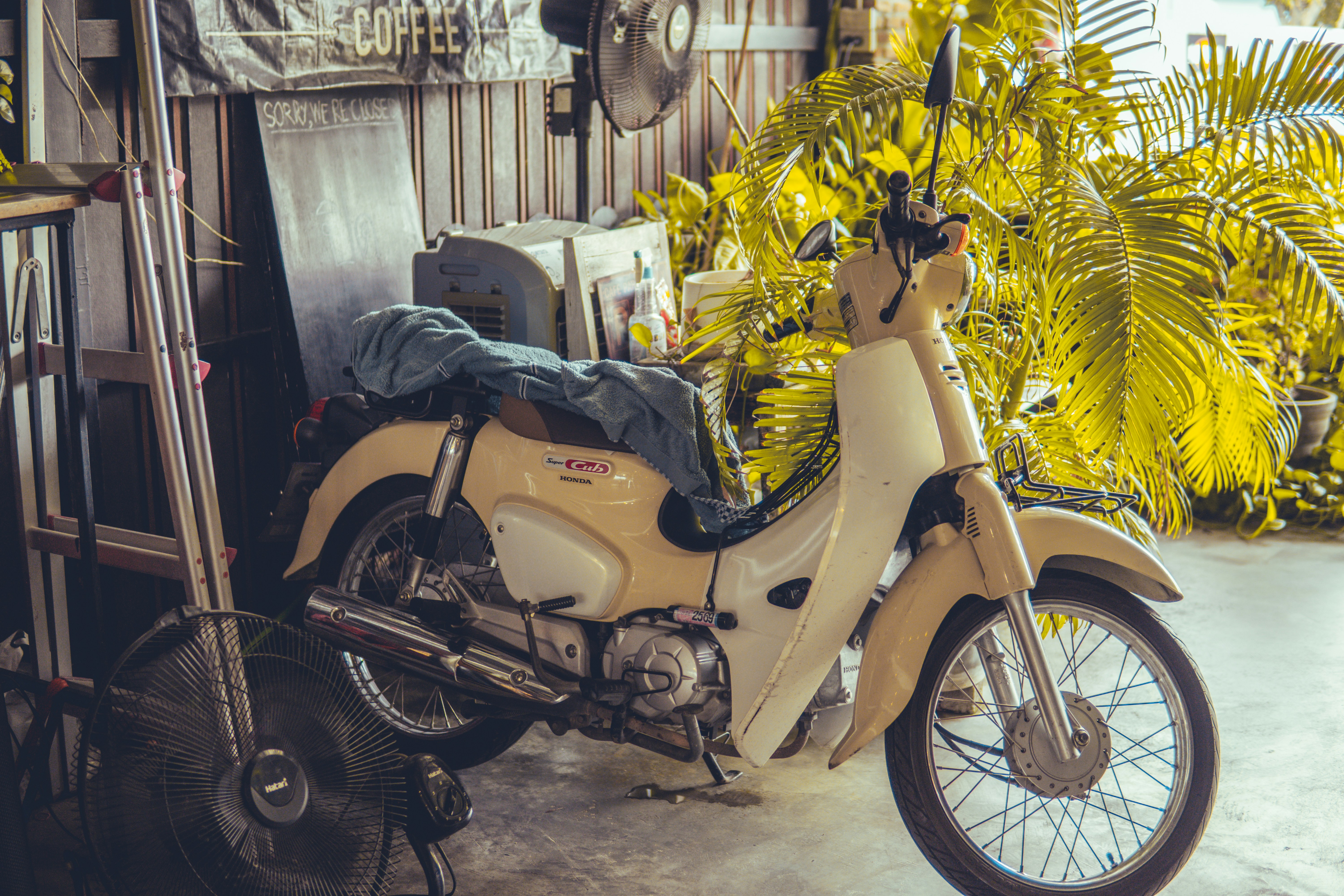 Cream scooter in a sunlit workshop, framed by tropical light