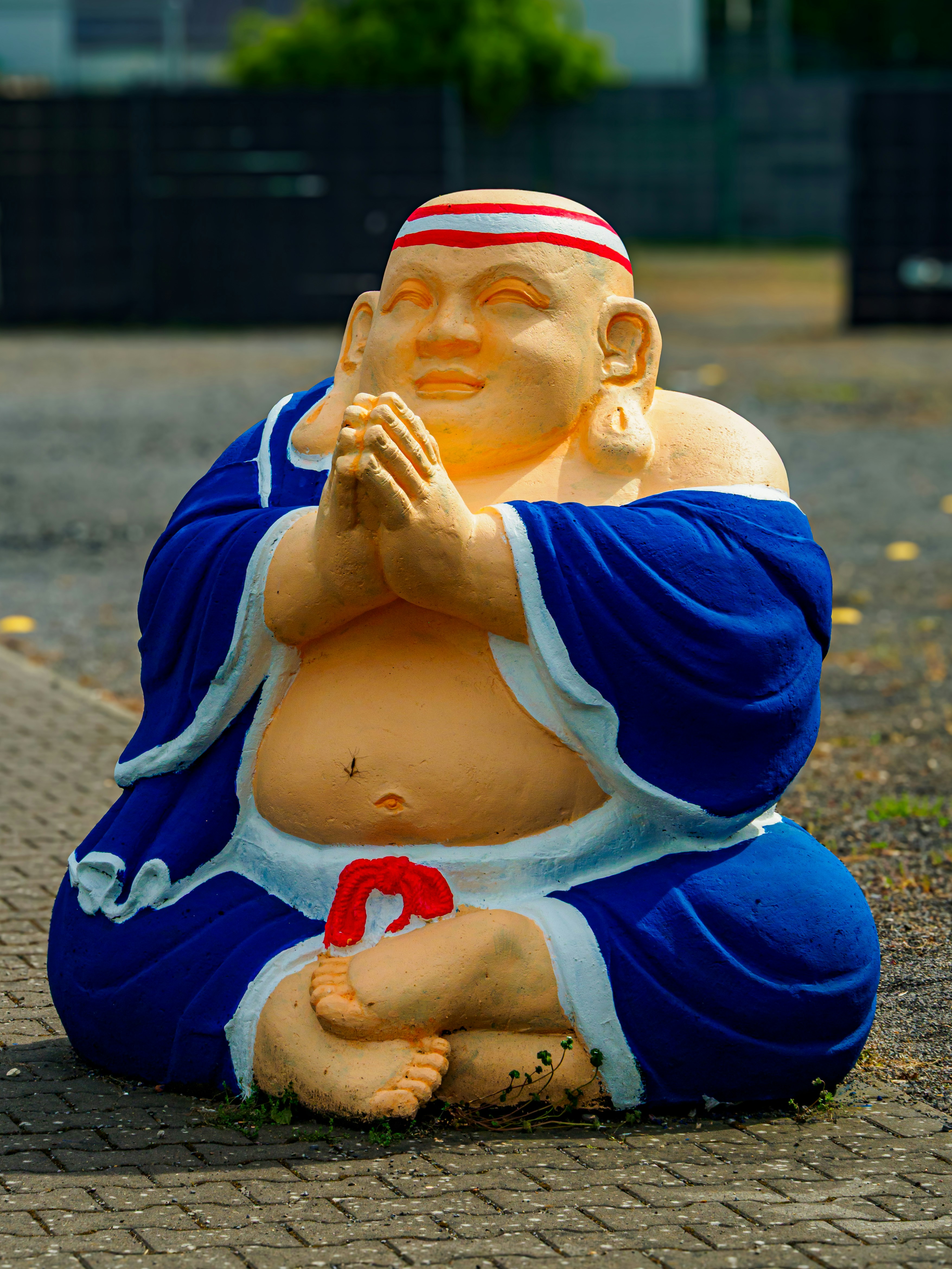 Charmed Buddha on the Path: A Blue Robed Statue in Quiet Outdoor Space
