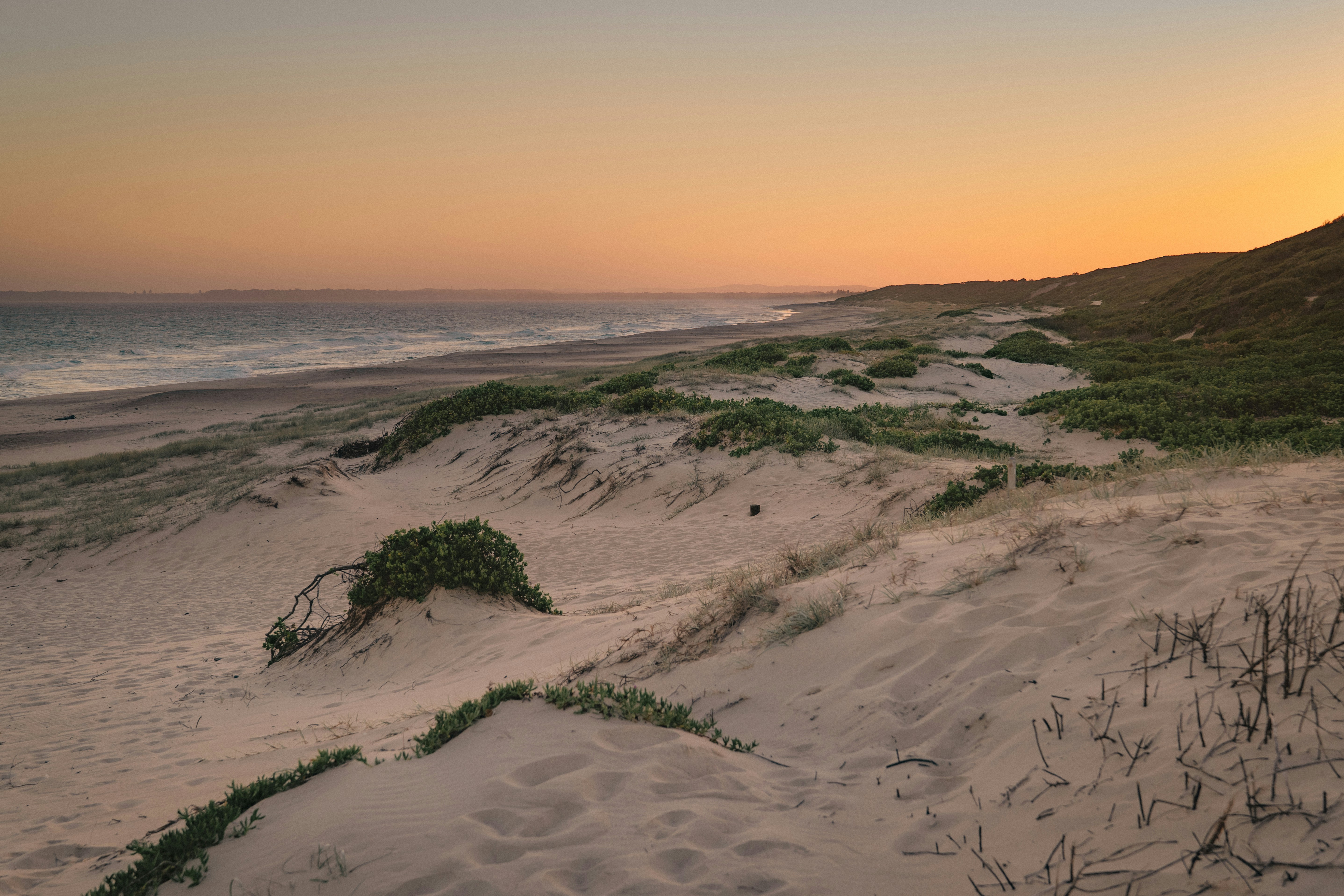 Quiet Dunes at Sunset: A Seaside Expanse of Sand and Sage