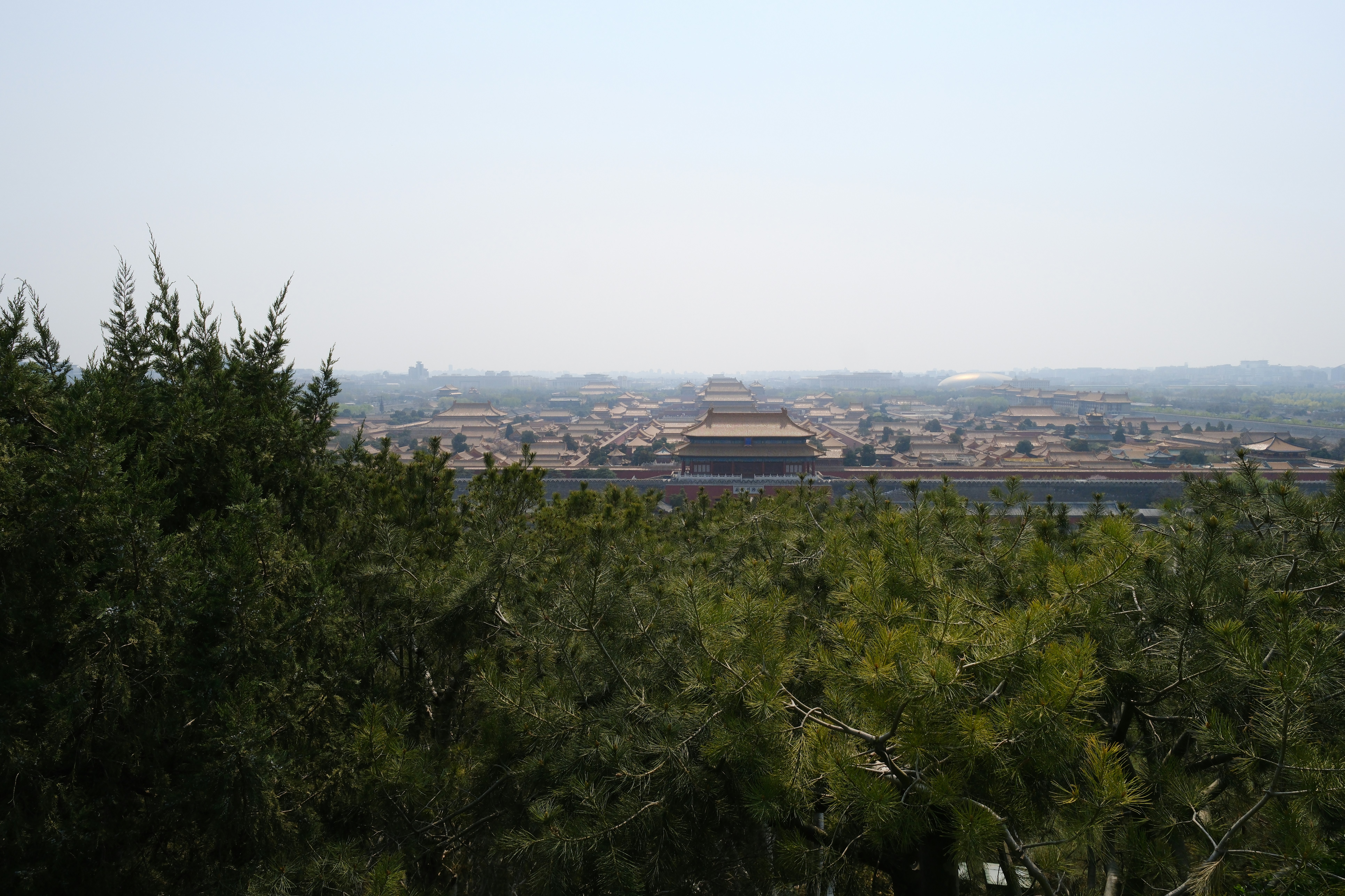 Temple City Rising Beyond the Pines