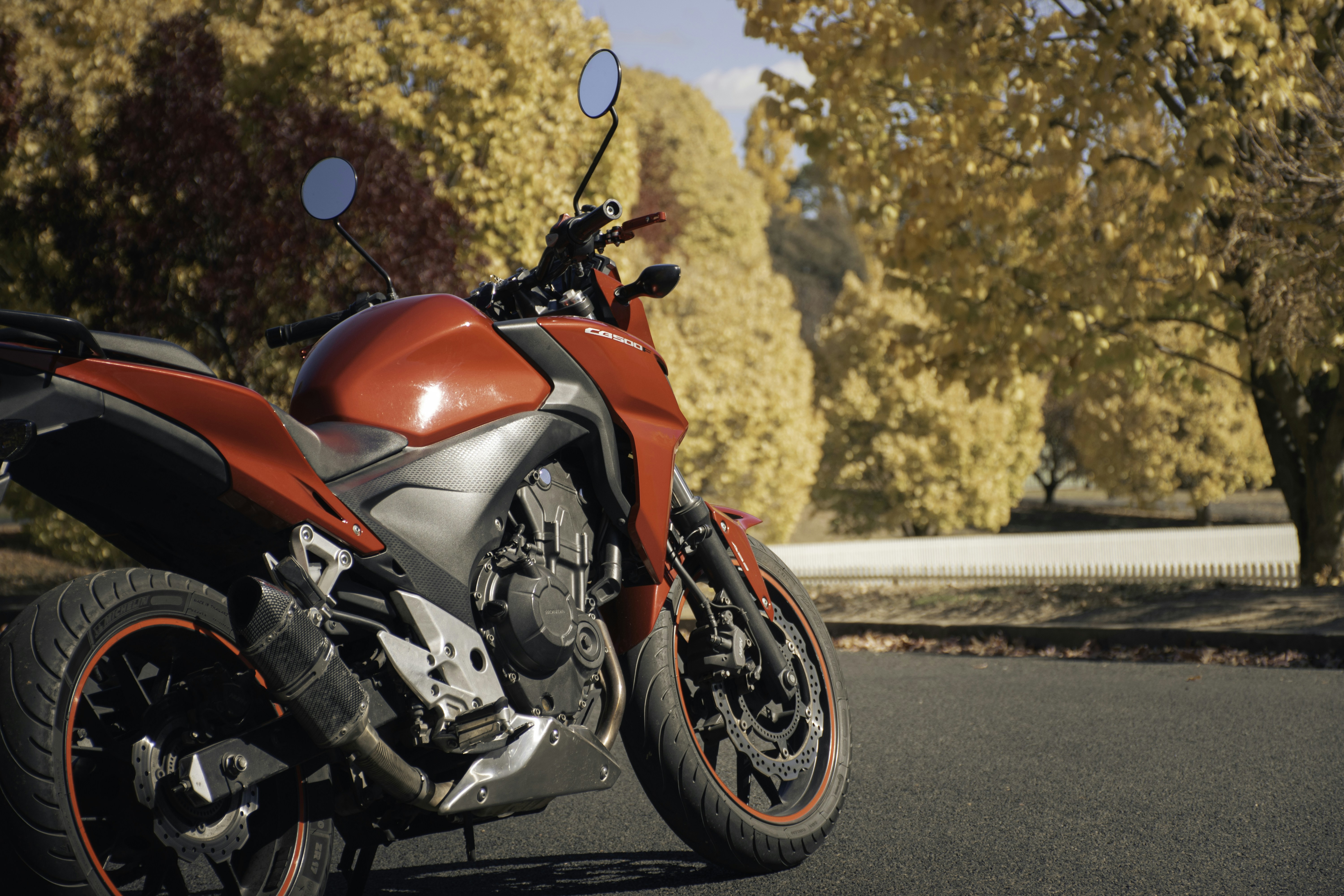 Crimson Thrill: A Red Motorcycle Anchored Against Autumn Gold