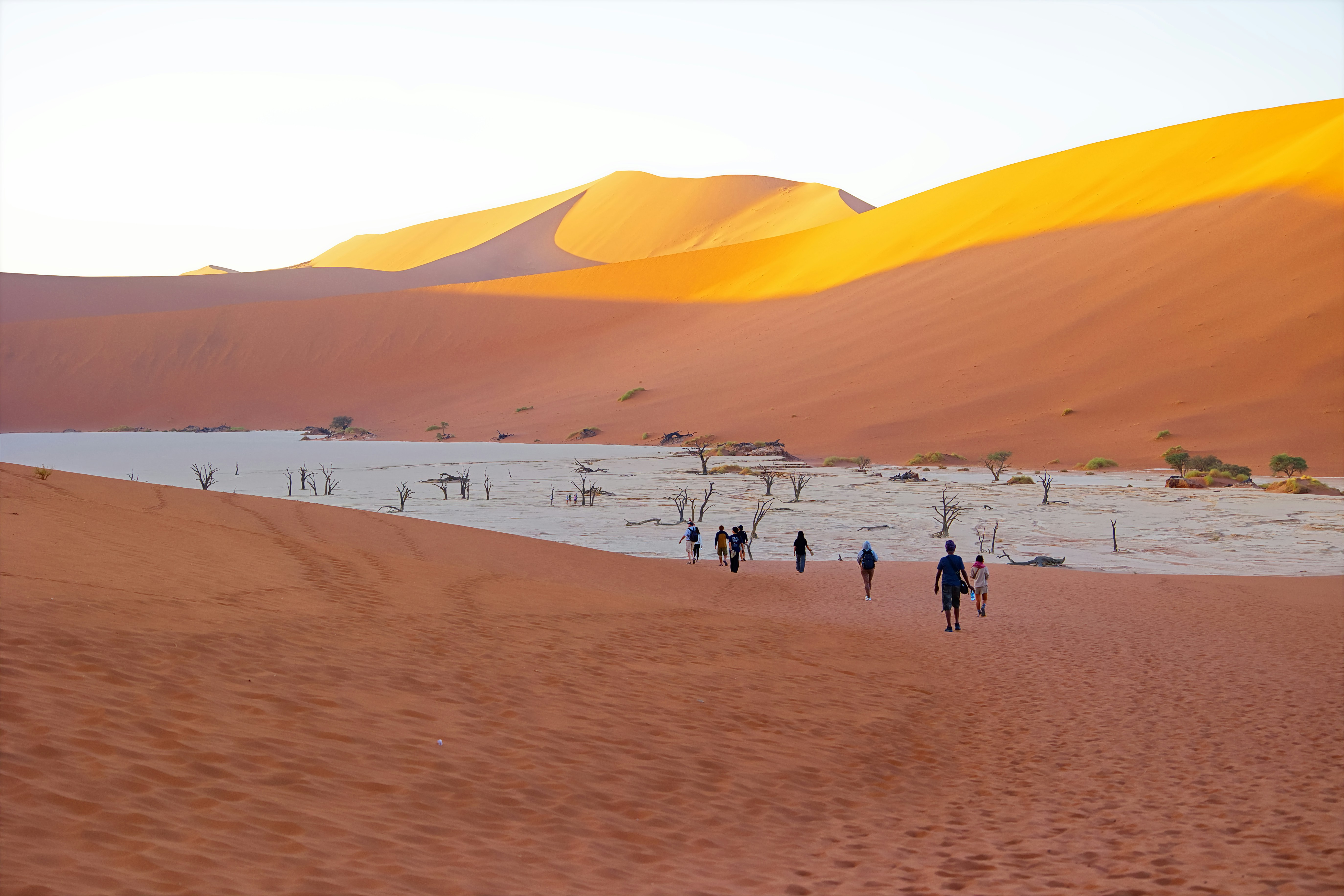 Desert caravan tracing the rim of a sunlit dune