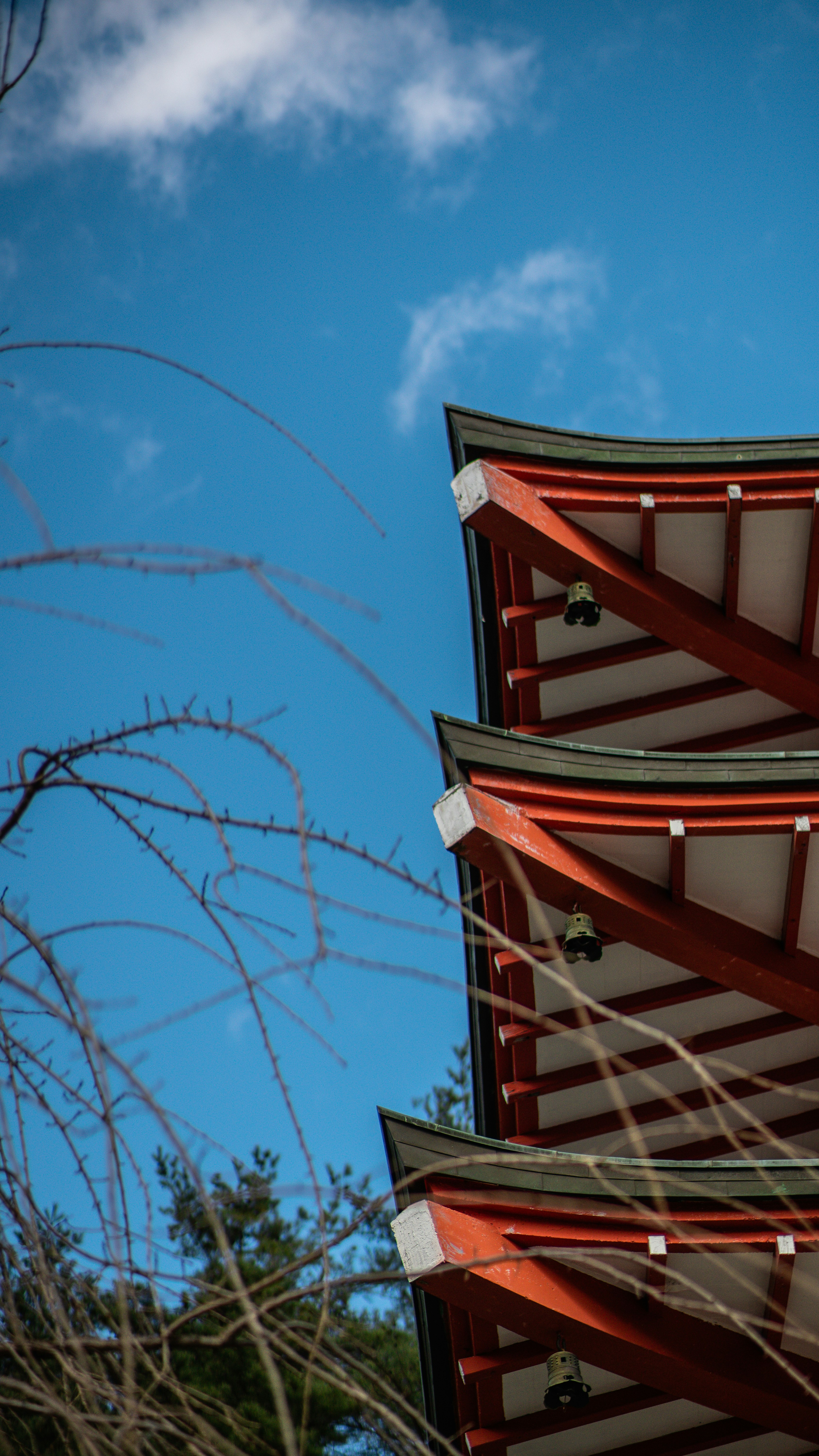 Tiered Pagoda Peeks Against a Clear Sky