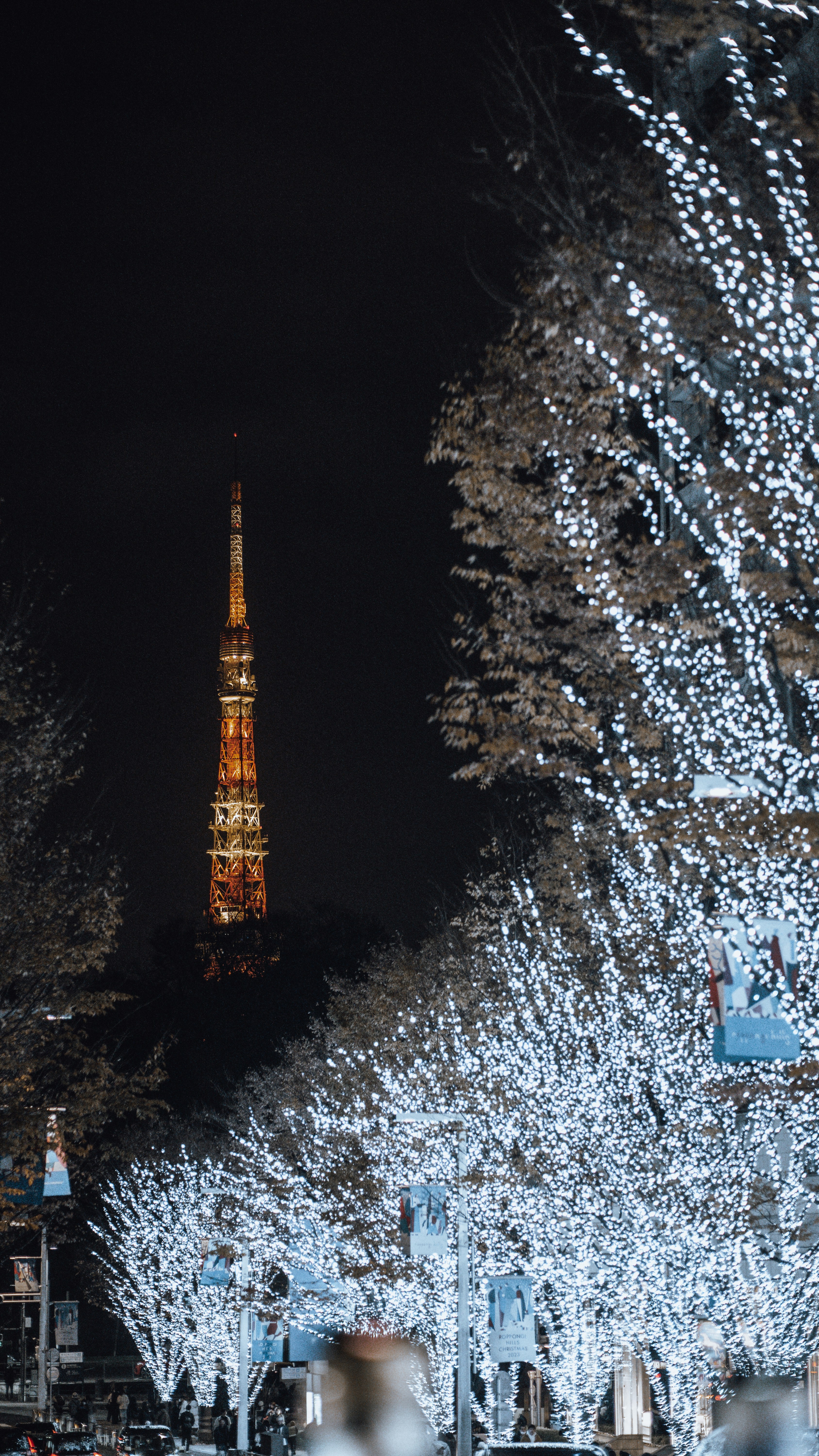 Illuminated Avenue Toward the Tower
