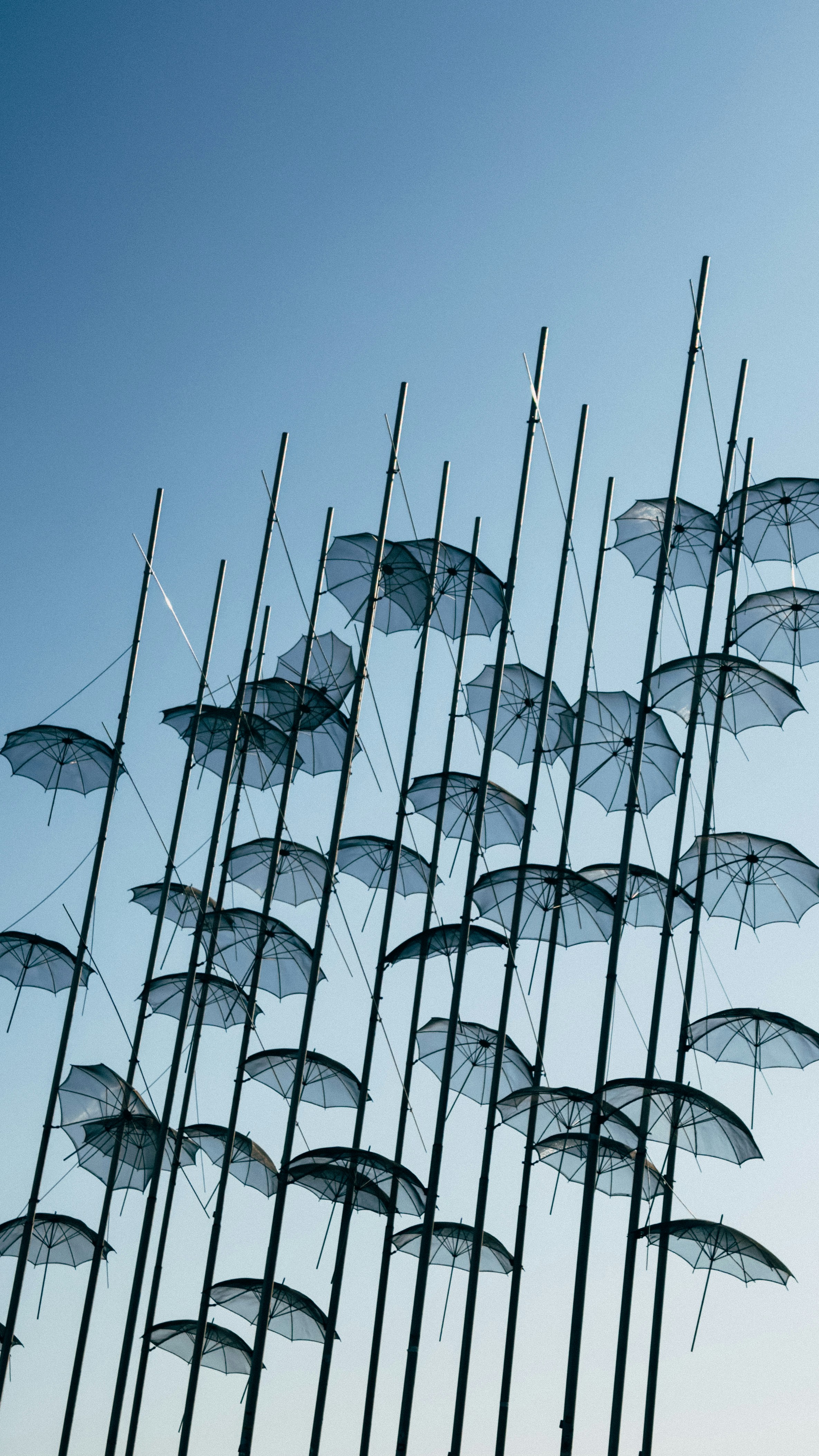 Umbrella Sky in Steel: A Treetop of Glass Canopies Against a Clear Blue