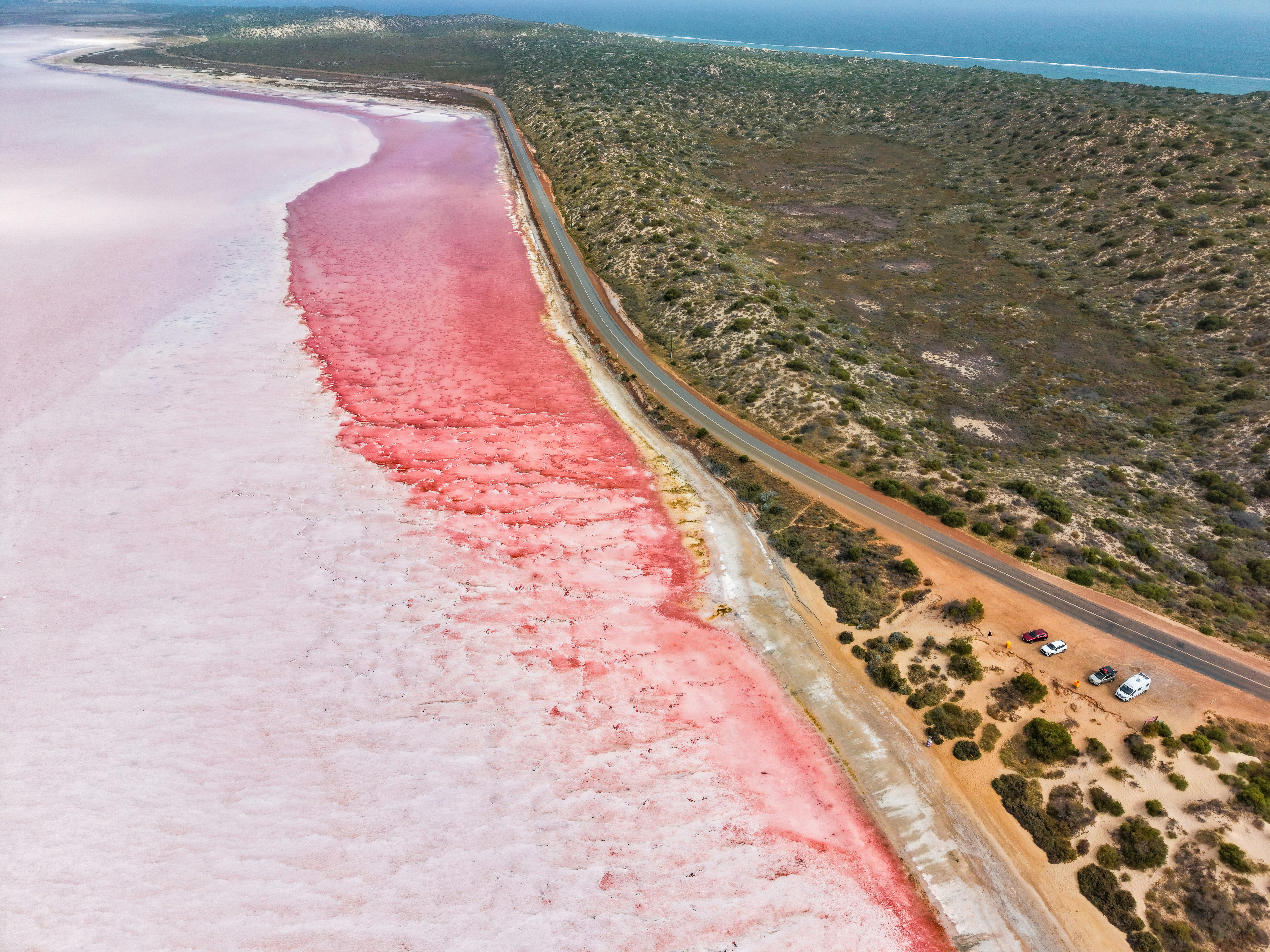 Pink Salt Trail: A Roadside Vein Cut Through Coastal Dunes