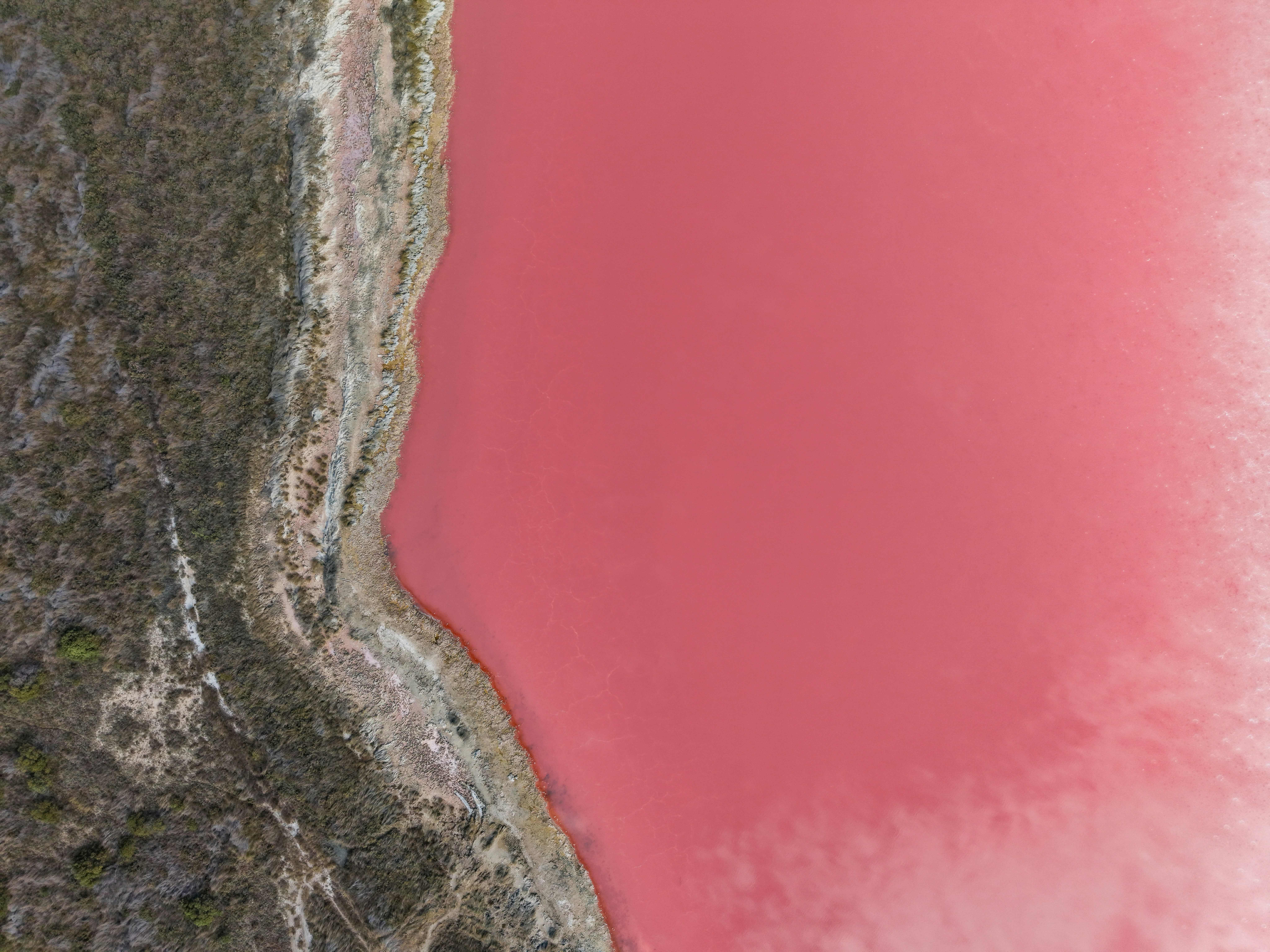 Strange Tide: Pink Salt Flats Edge a Gritty Cliff