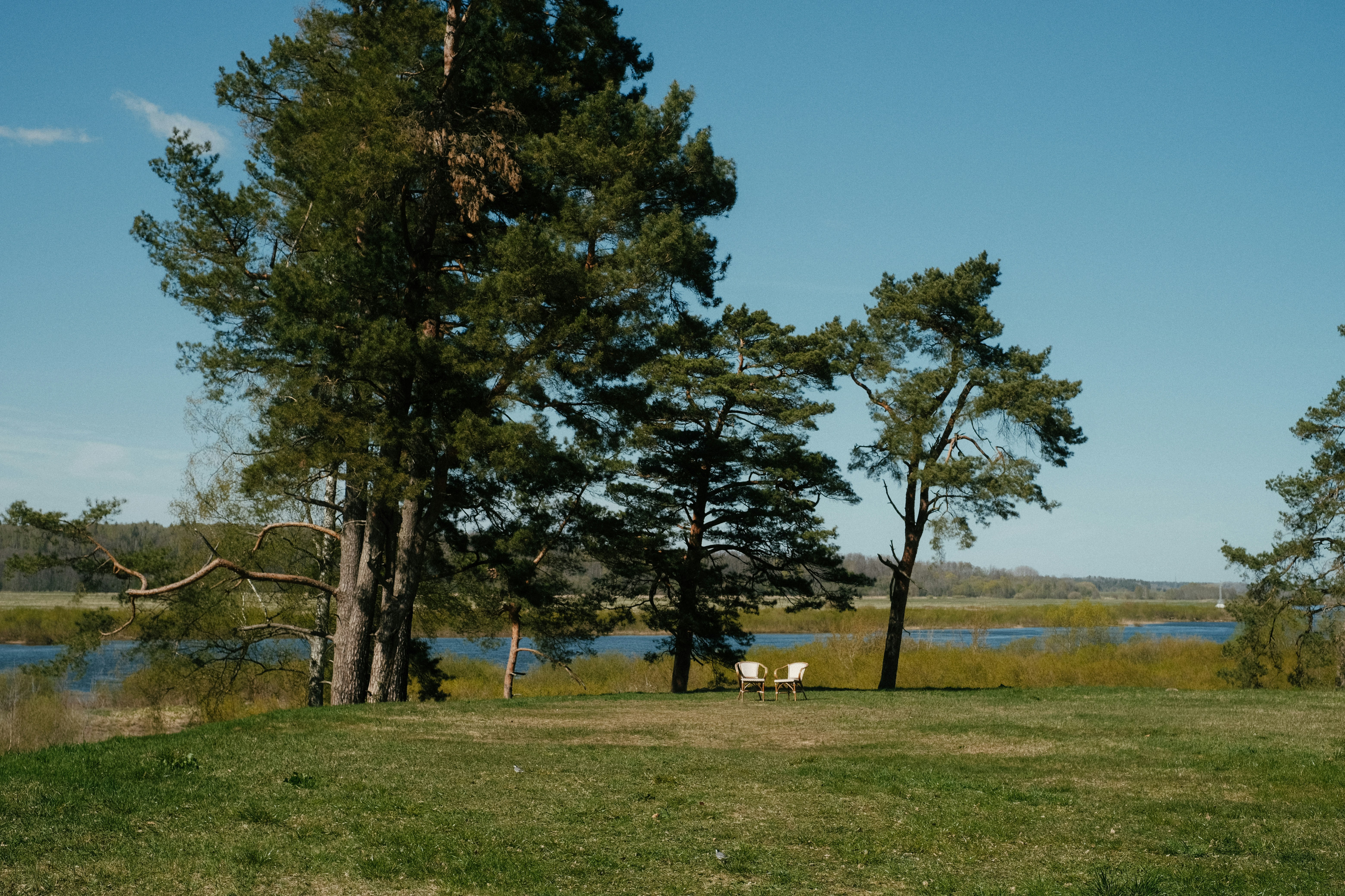 Lakeside Clearing with Secluded Seating Under Pines