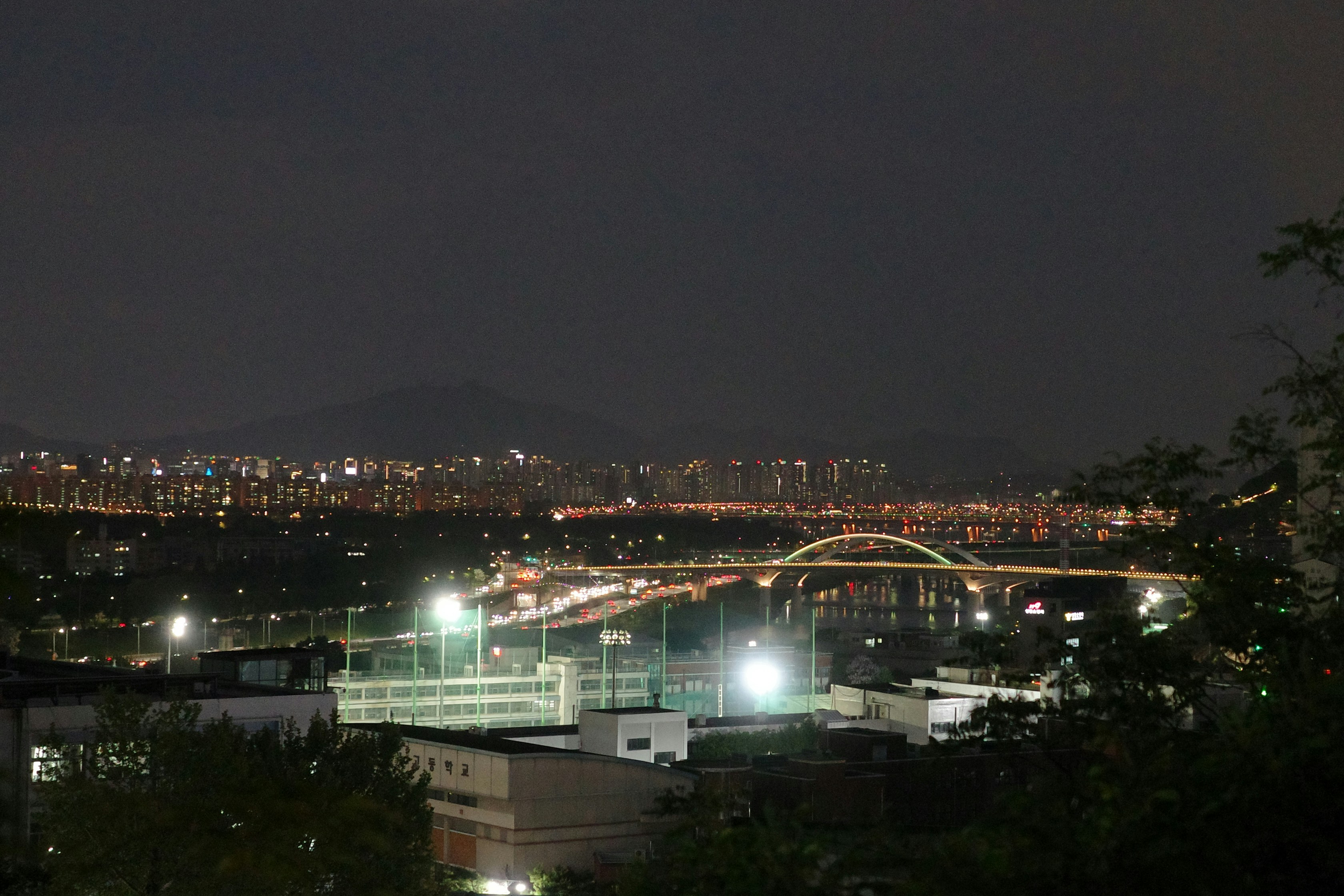 Moonlit Skyline Over the Bridge: Night Cityscape from a Ridge