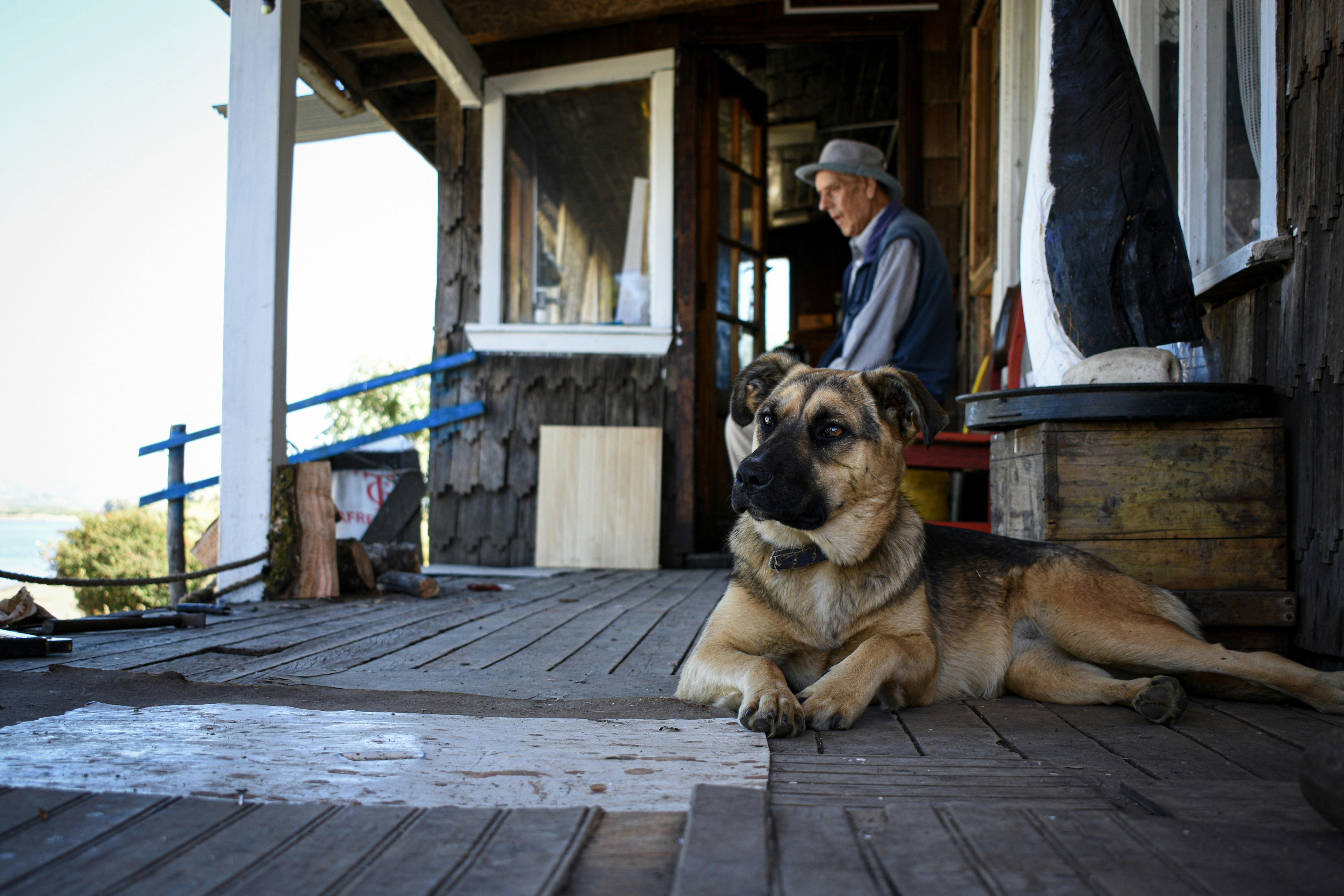 Seated Guardian on the Wooden Dock