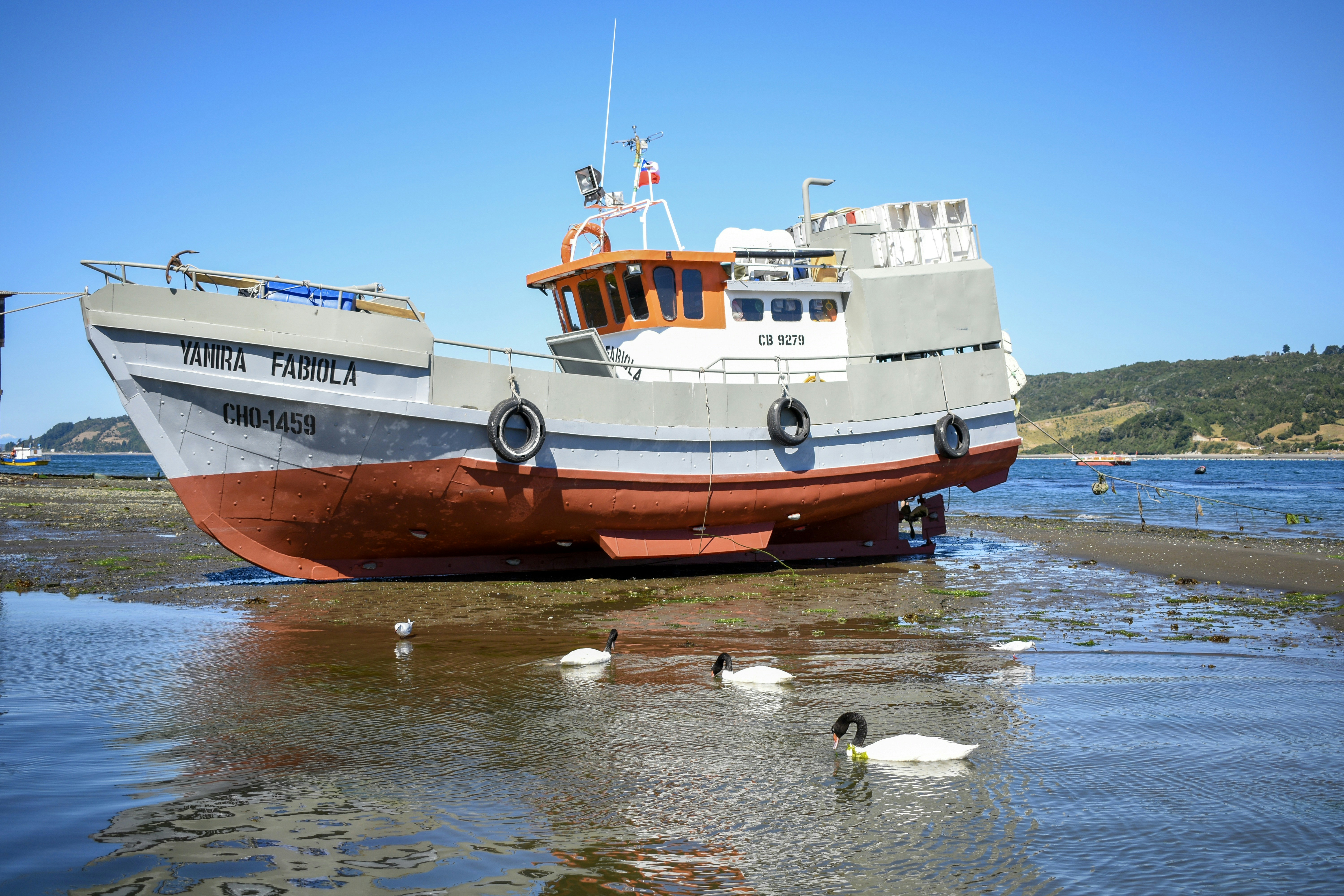 Muted Red Tug Grounded on Tidal Flats Under Clear Sky