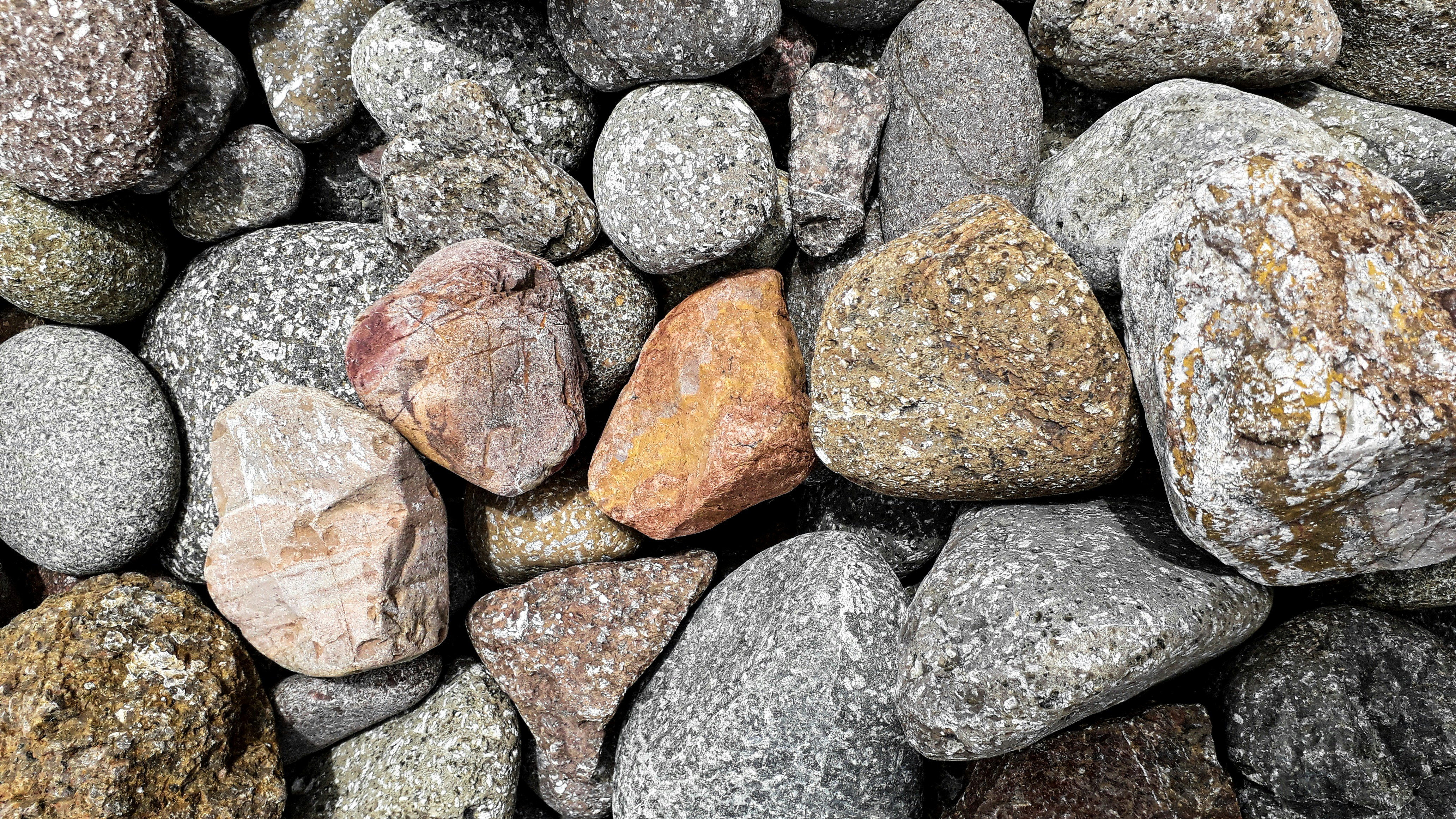 Pebble Mosaic: Subtle Color Play Across a Coastal Tumble