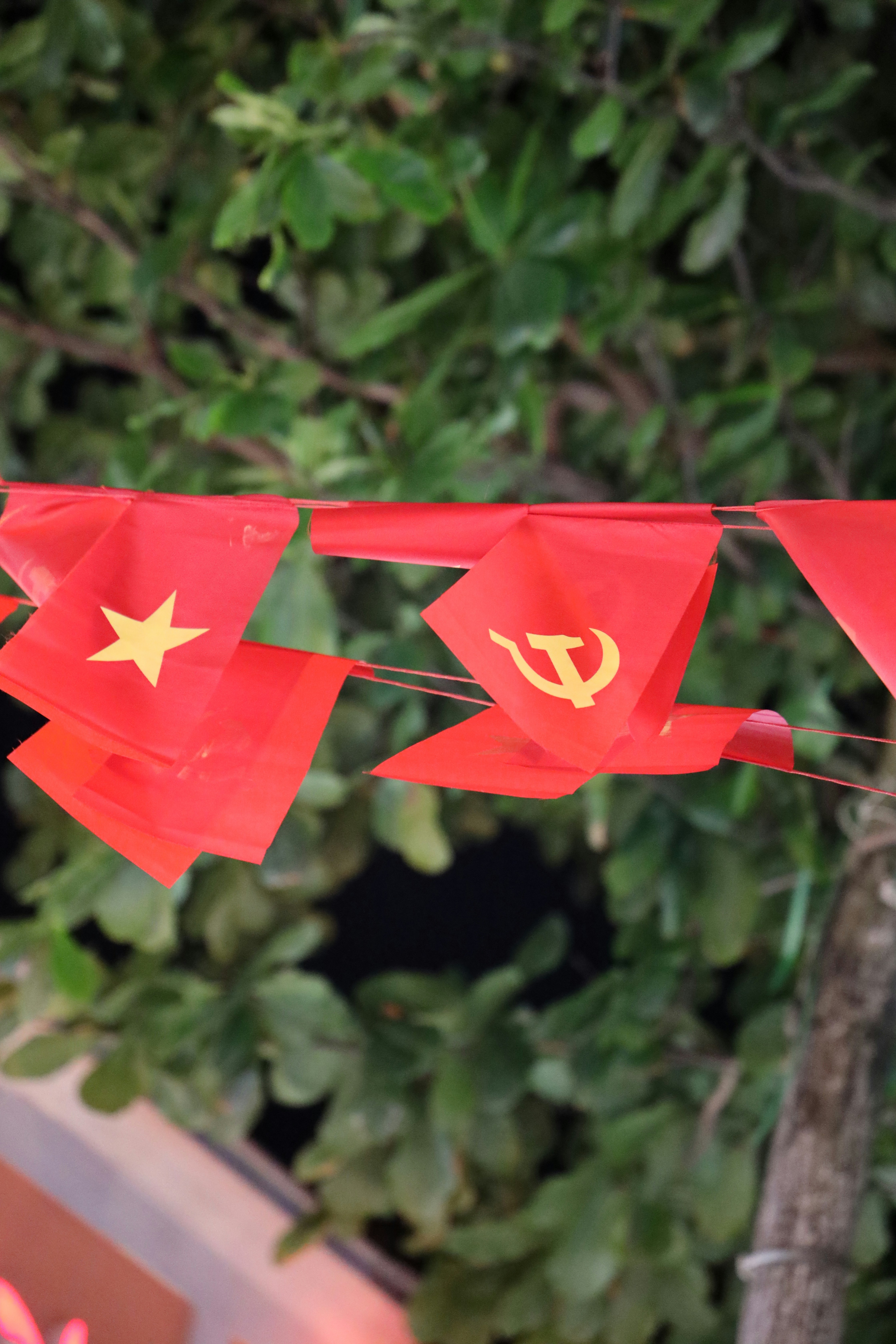 Red Flags on a Green Backdrop: A Close-Up of Symbolic Banners