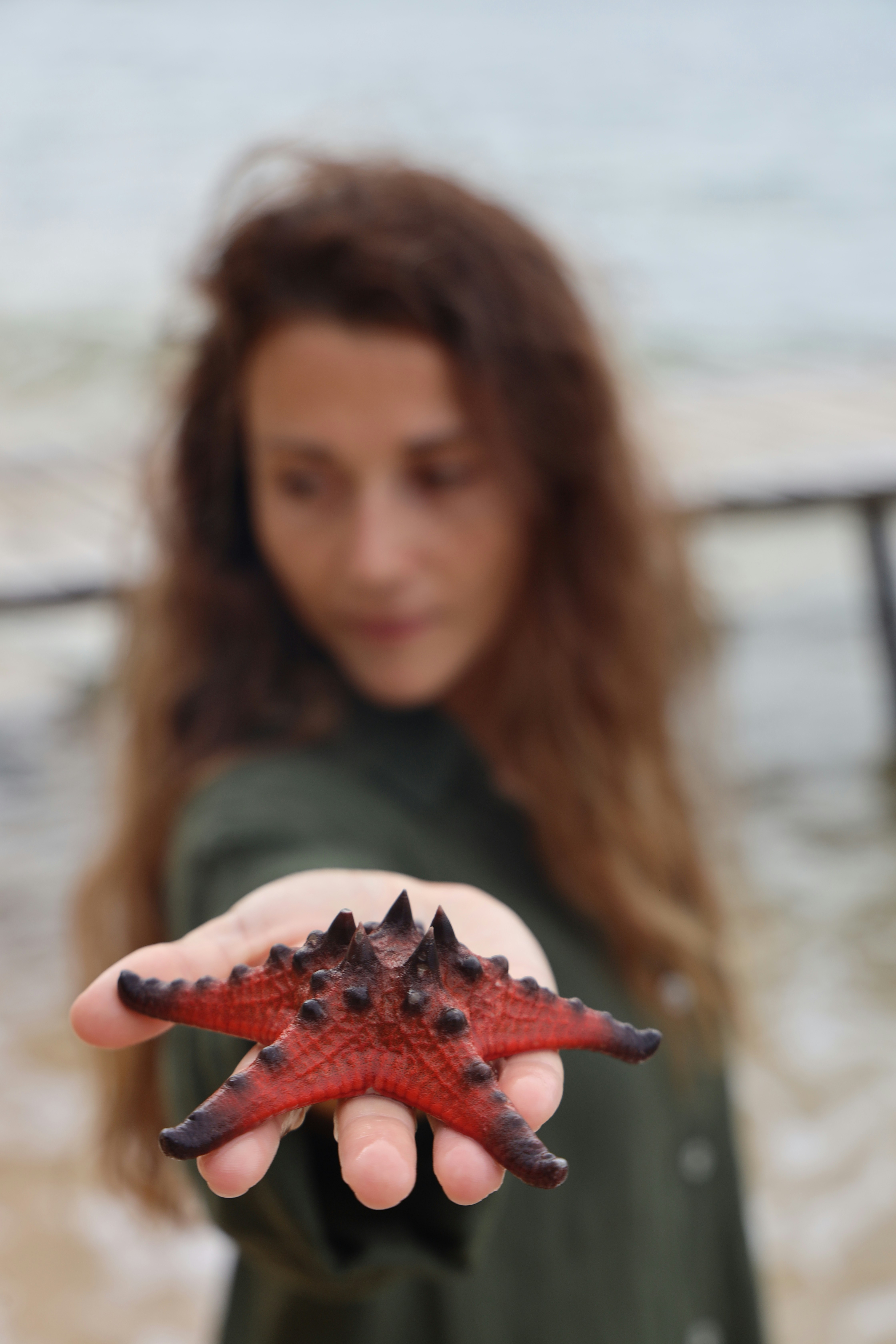 Red Starfish Delivery: A Hand-Forward Portrait at the Shore
