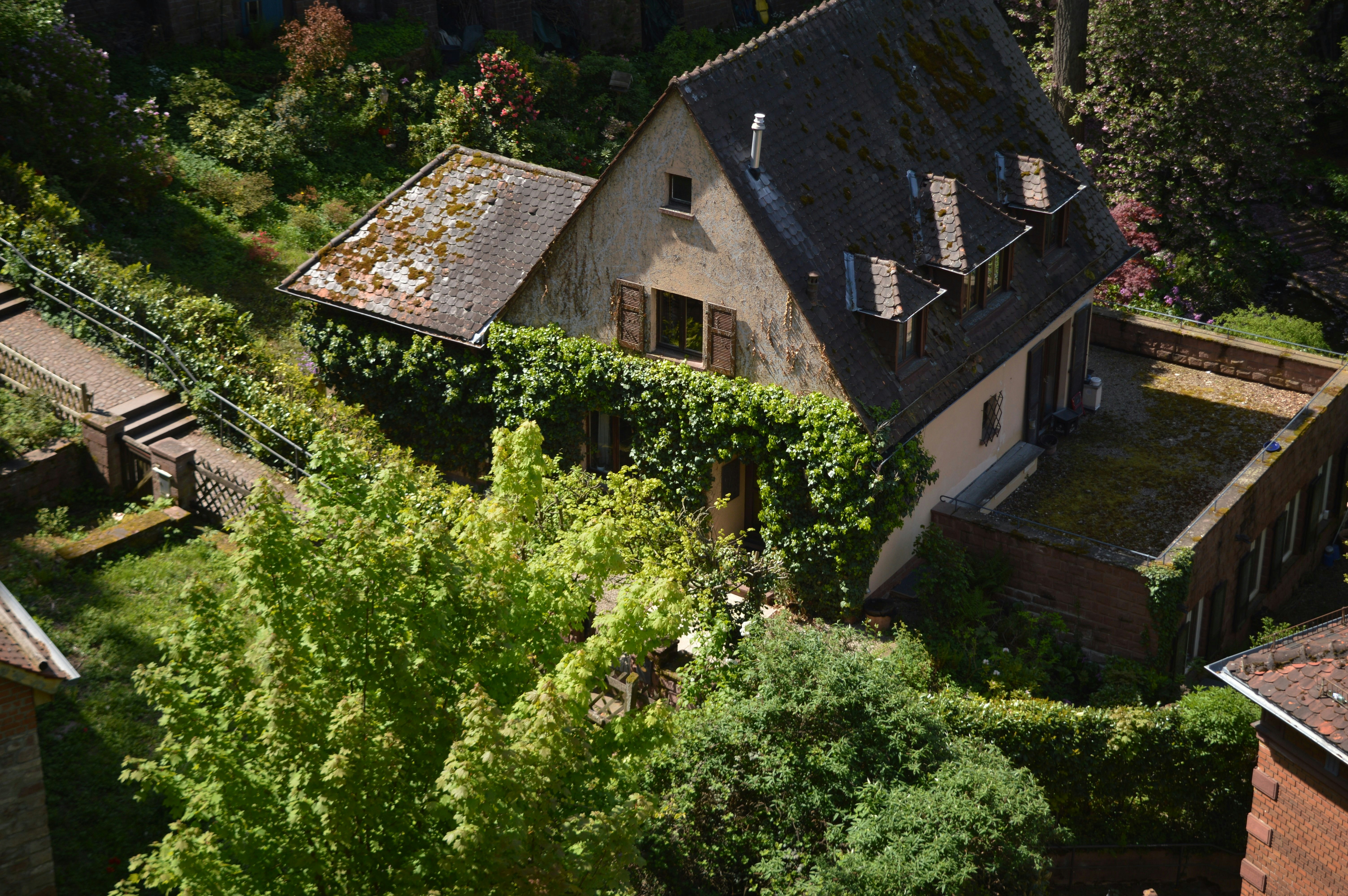 A Quiet A-frame Villa Nestled in Verdant Backyards