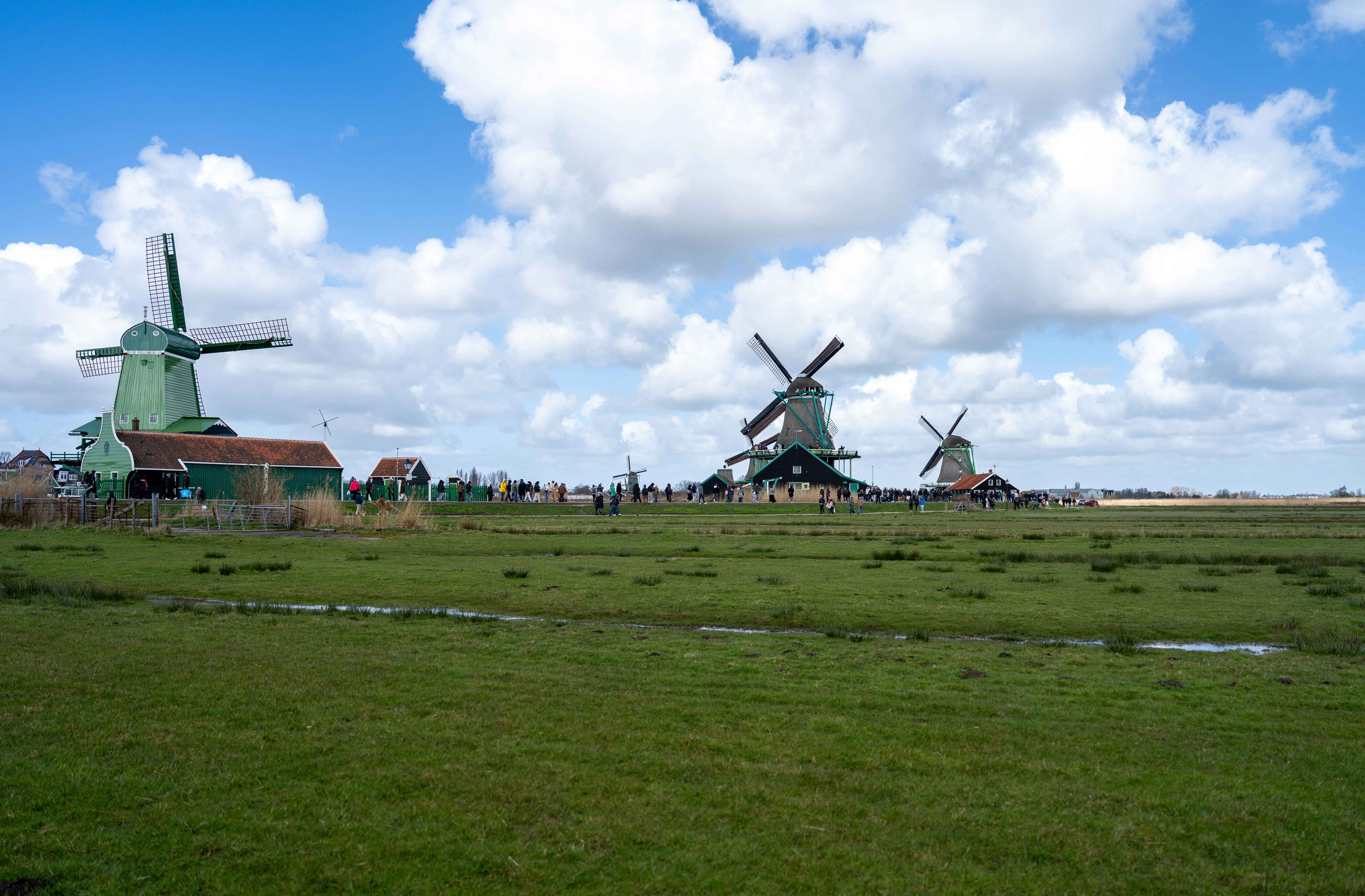 Green Windmills on the Wide Dutch Plain