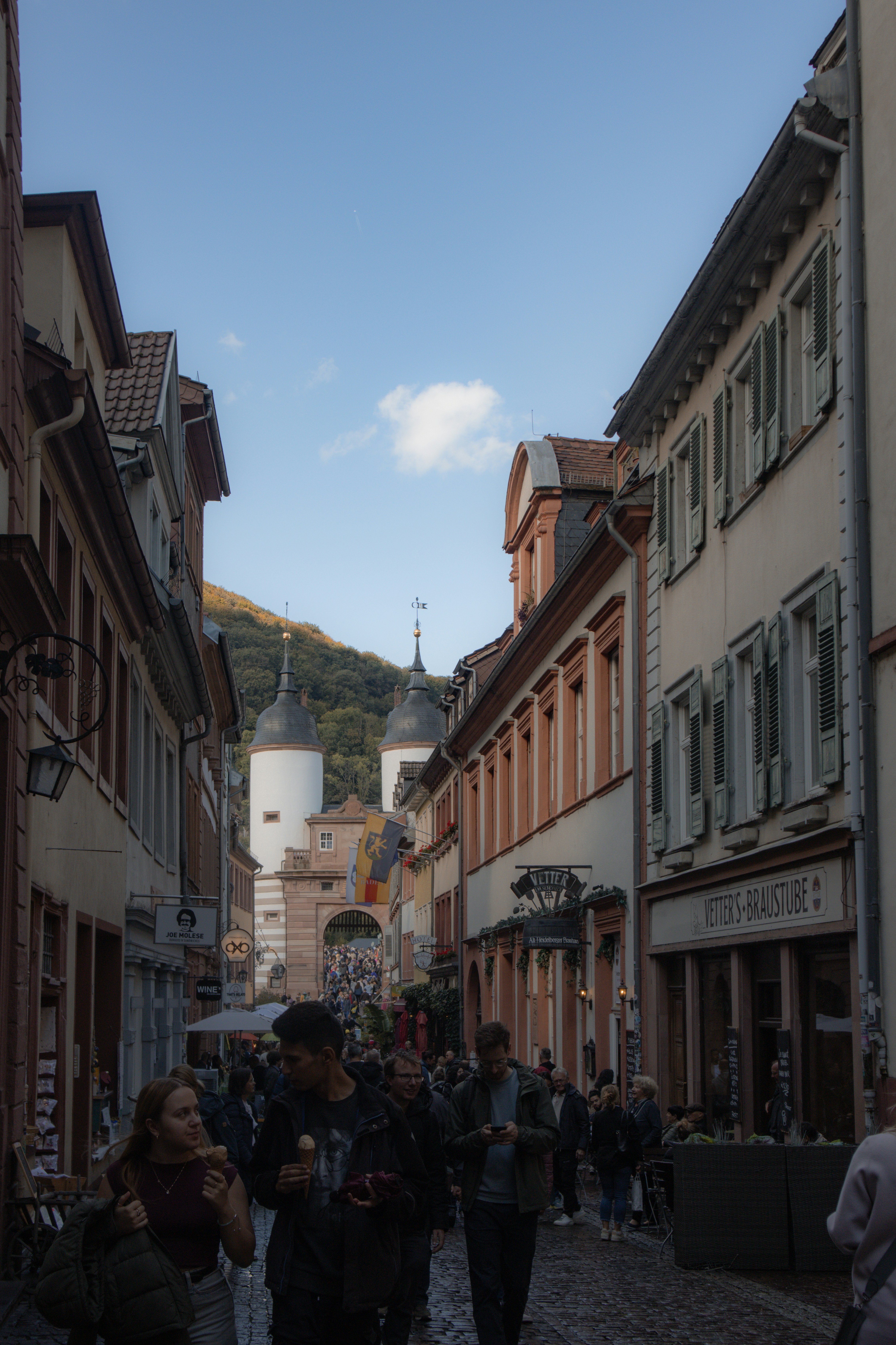 Cobbled Lane with Towered Fanfare