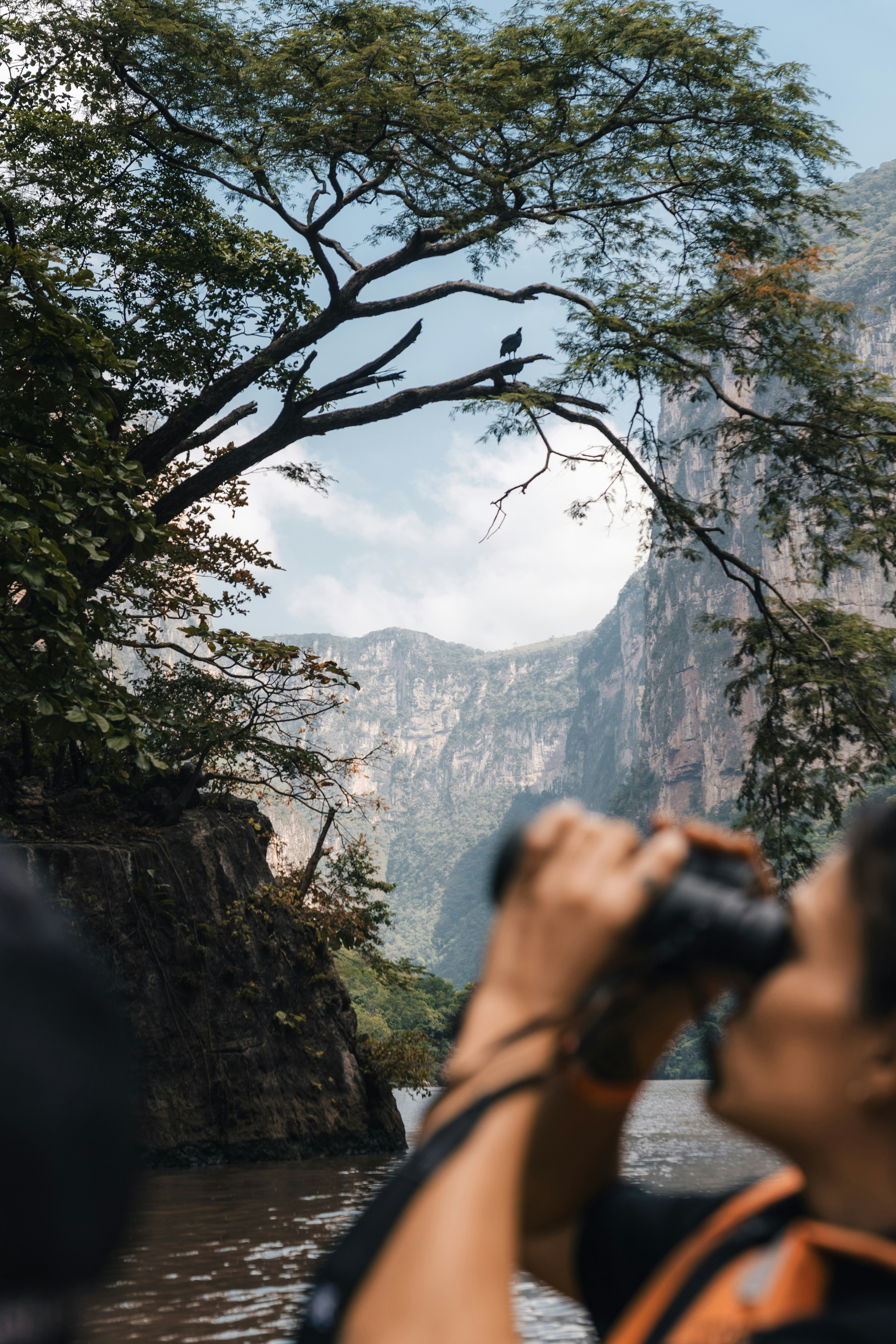 Eyes on the Canyon: A Moment Captured Through the Viewfinder