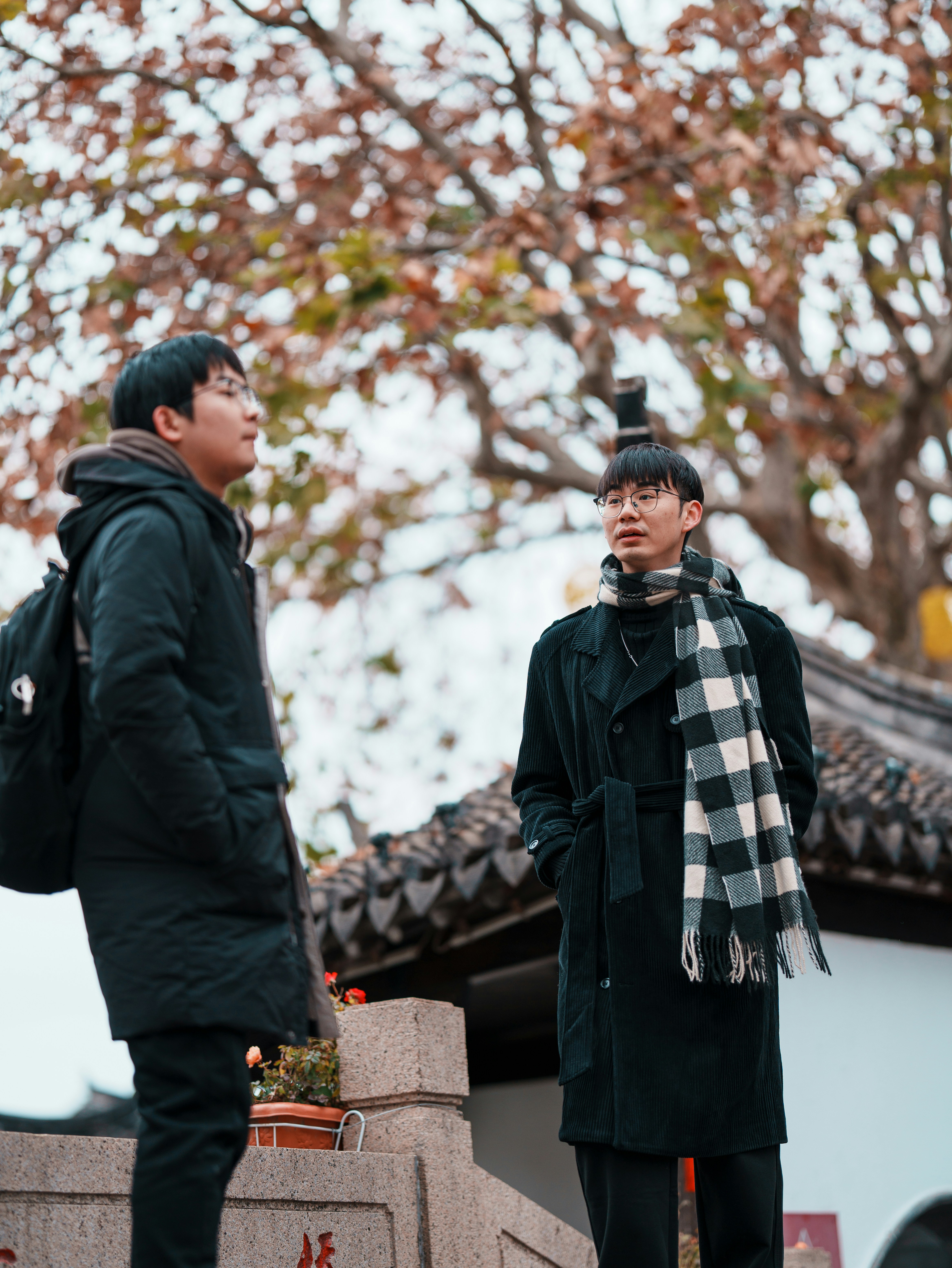 Winter Years: Two Friends Beneath Autumn Branches