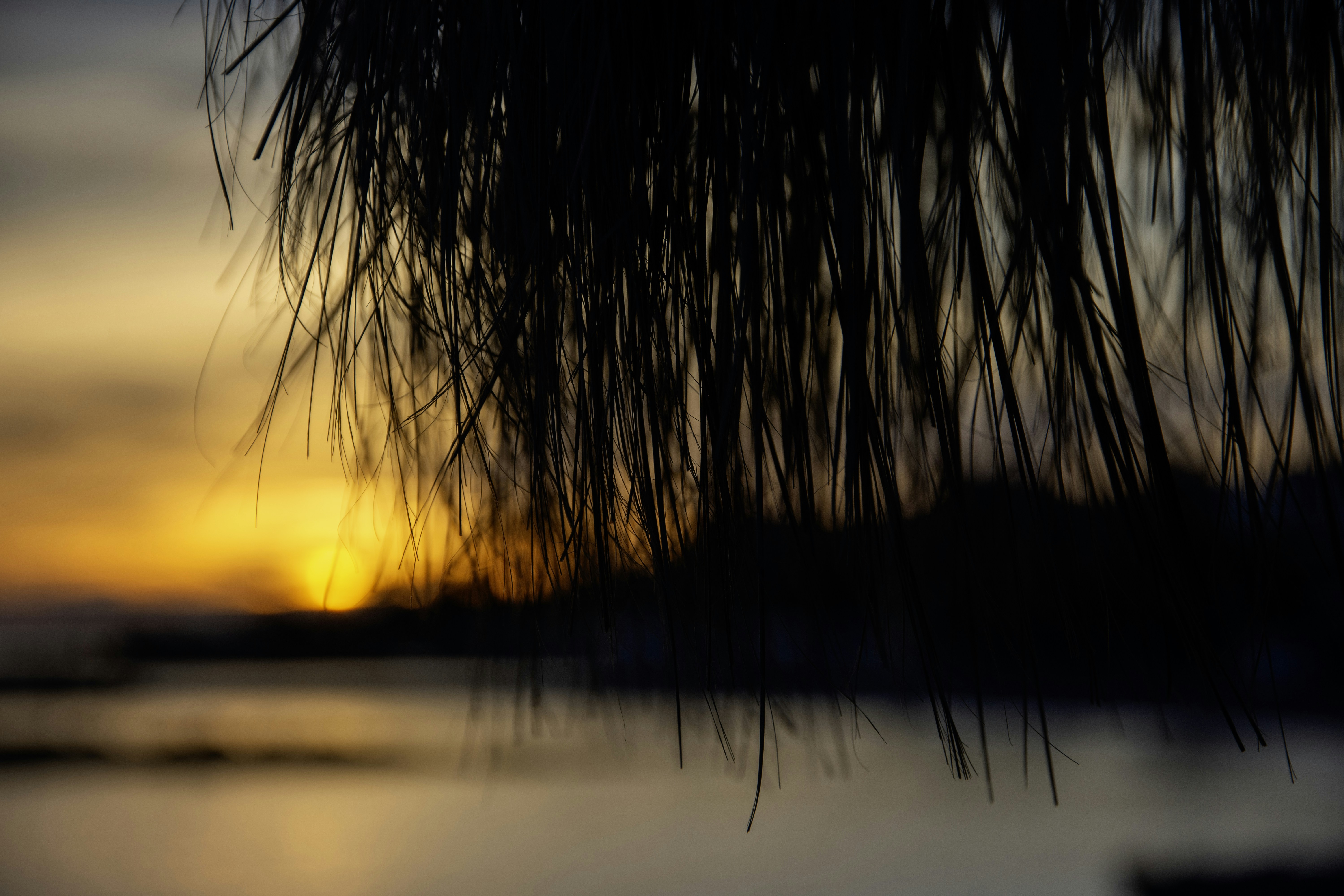 Floating Shadows at Sunset