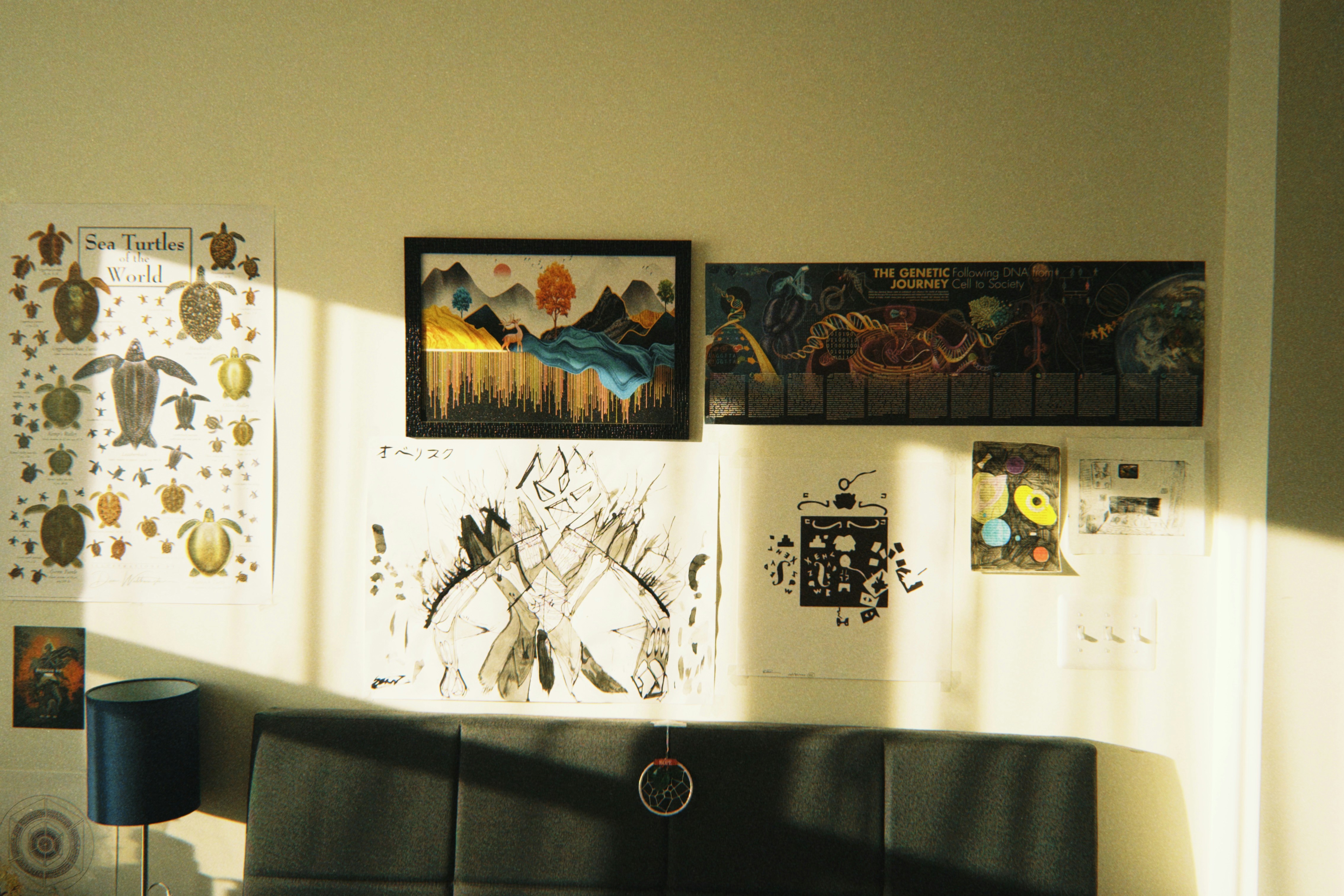 Gallery wall with insect chart and framed artwork above a dark sofa