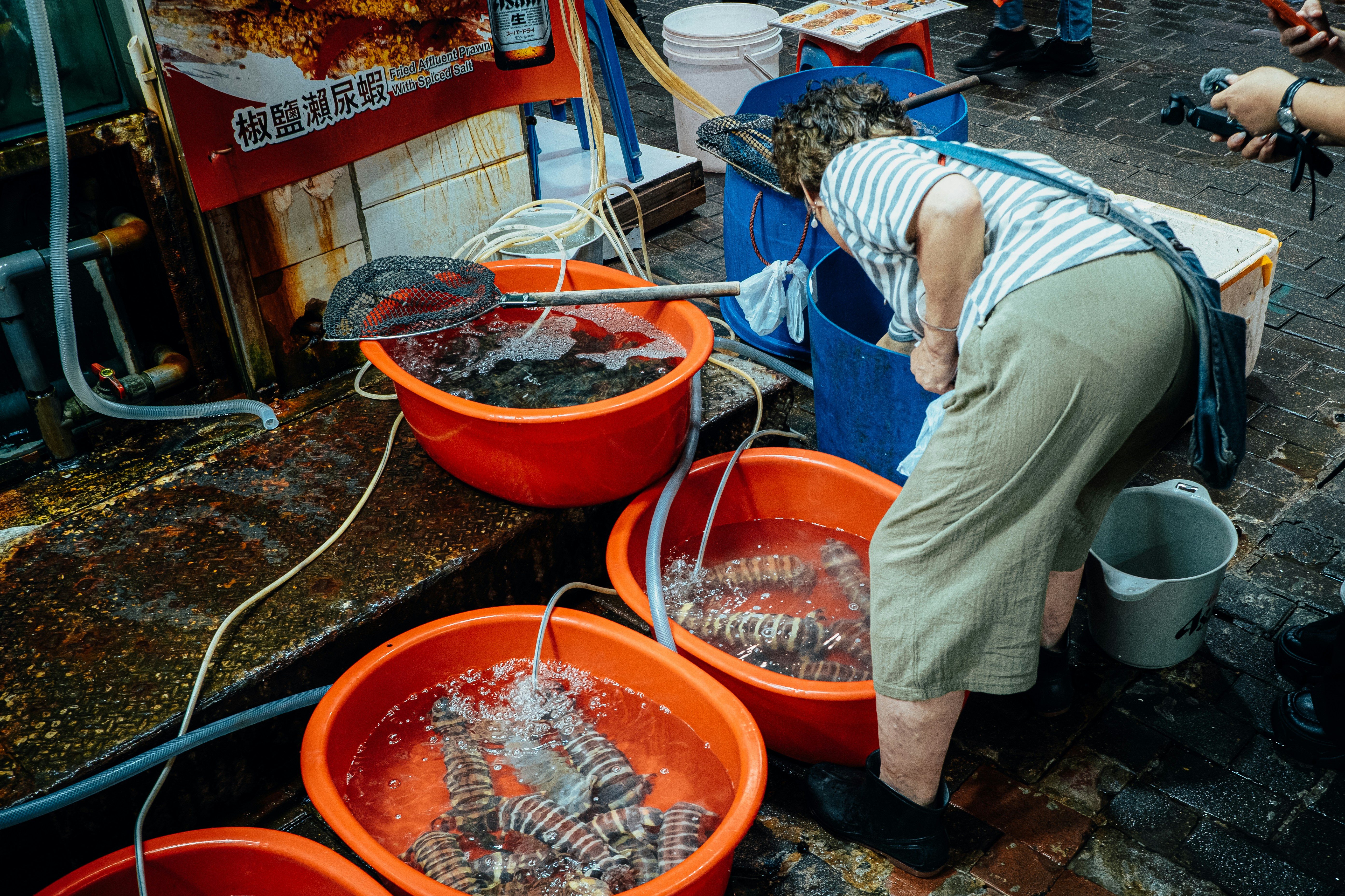 Hands at the Tarp-Softened Edge: A Market Shark Tank in Red Baskets