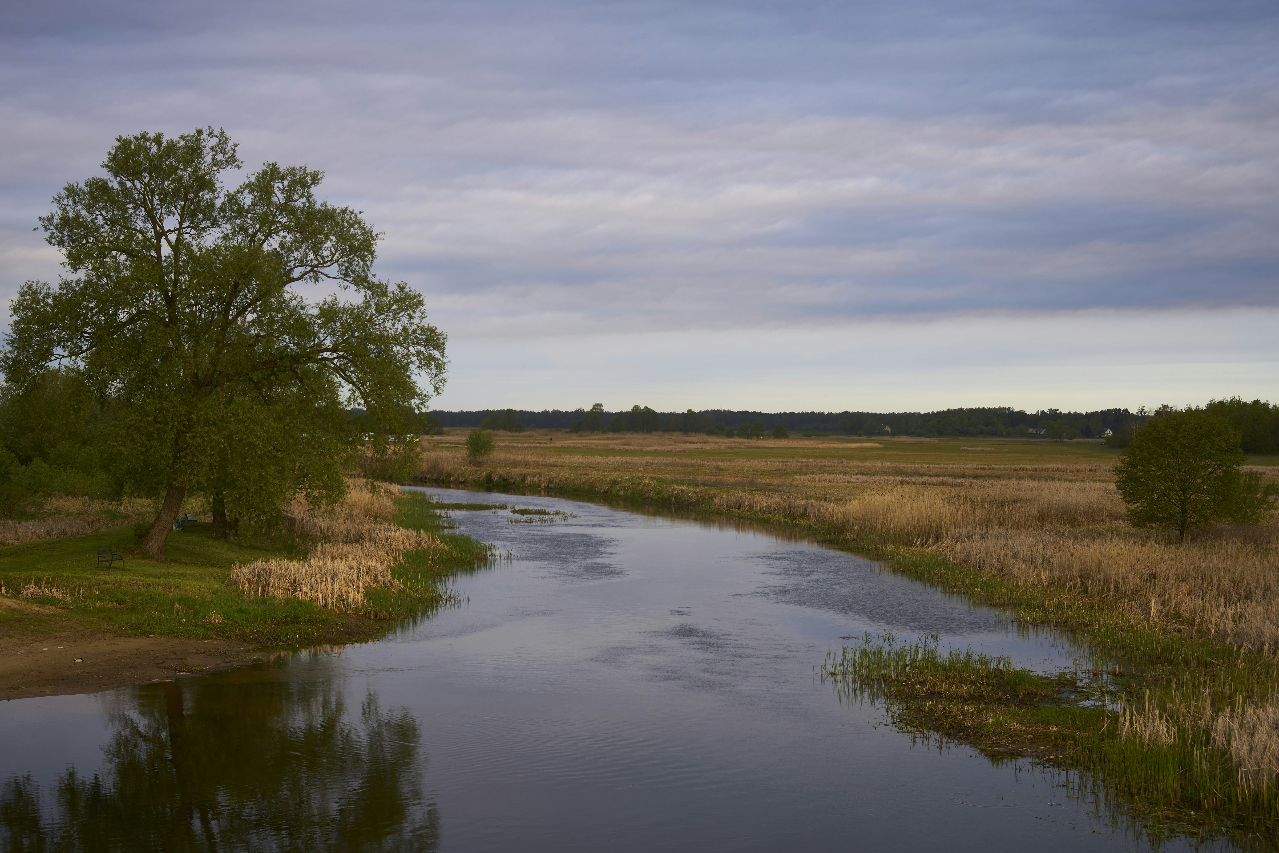 Meandering River Edge: A Quiet Prairie Confluence