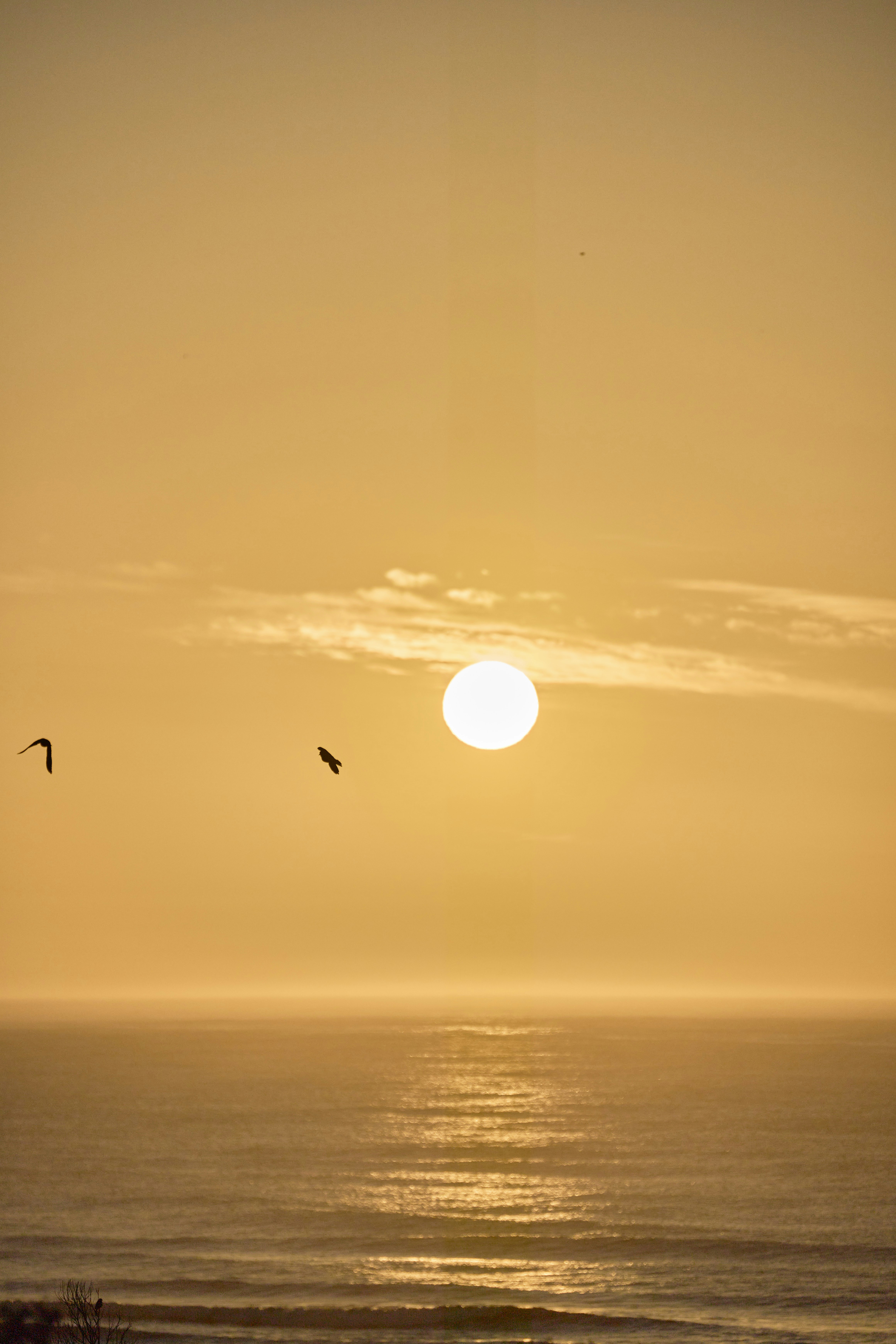 Golden Horizon: A Quiet Sunset over a Distant Sea