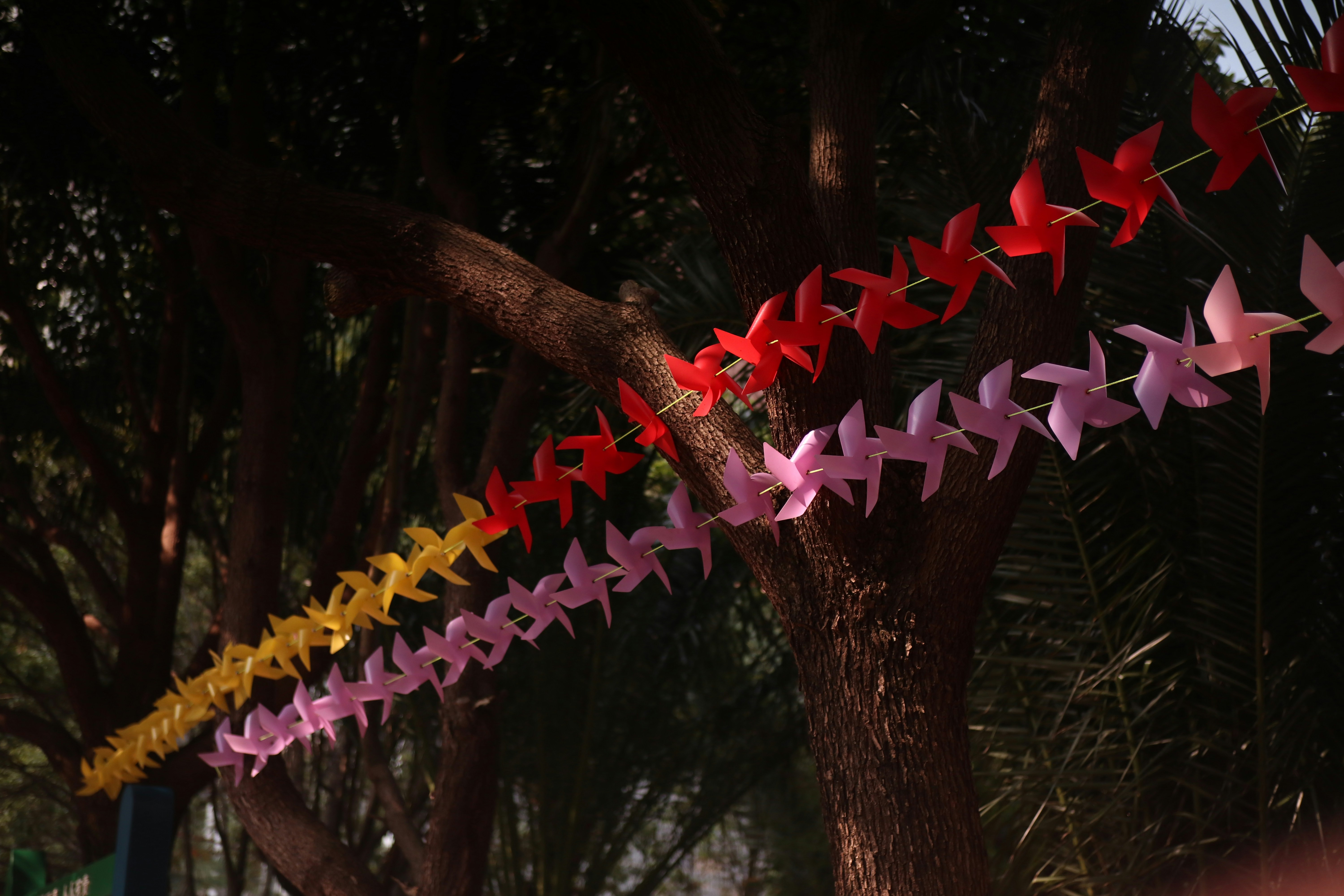 Kinetic Paper Birds Draped Across a Sunlit Tree