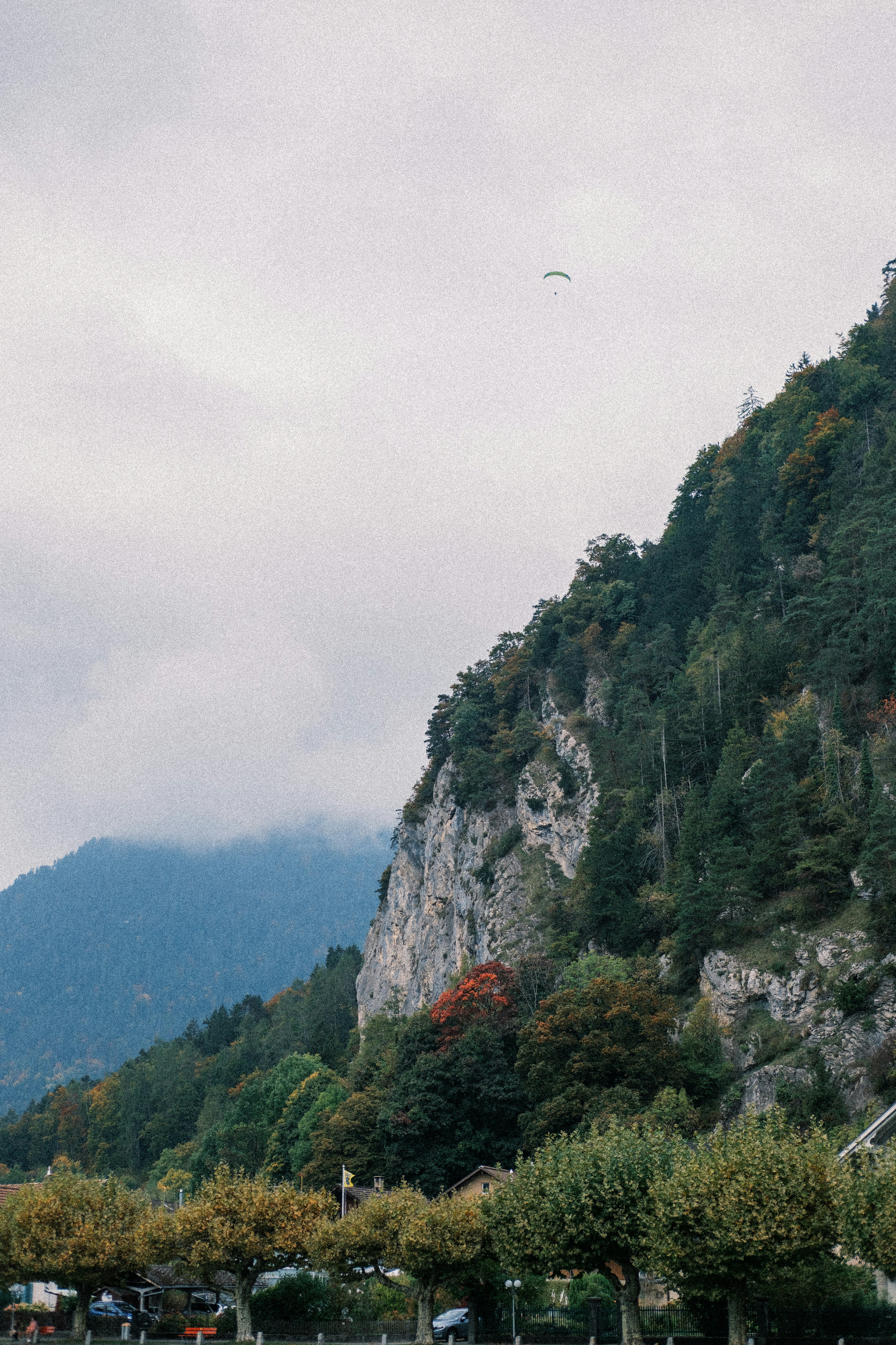 Cliffside Ridge: A Paraglider Silhouette Over a Forested Valley