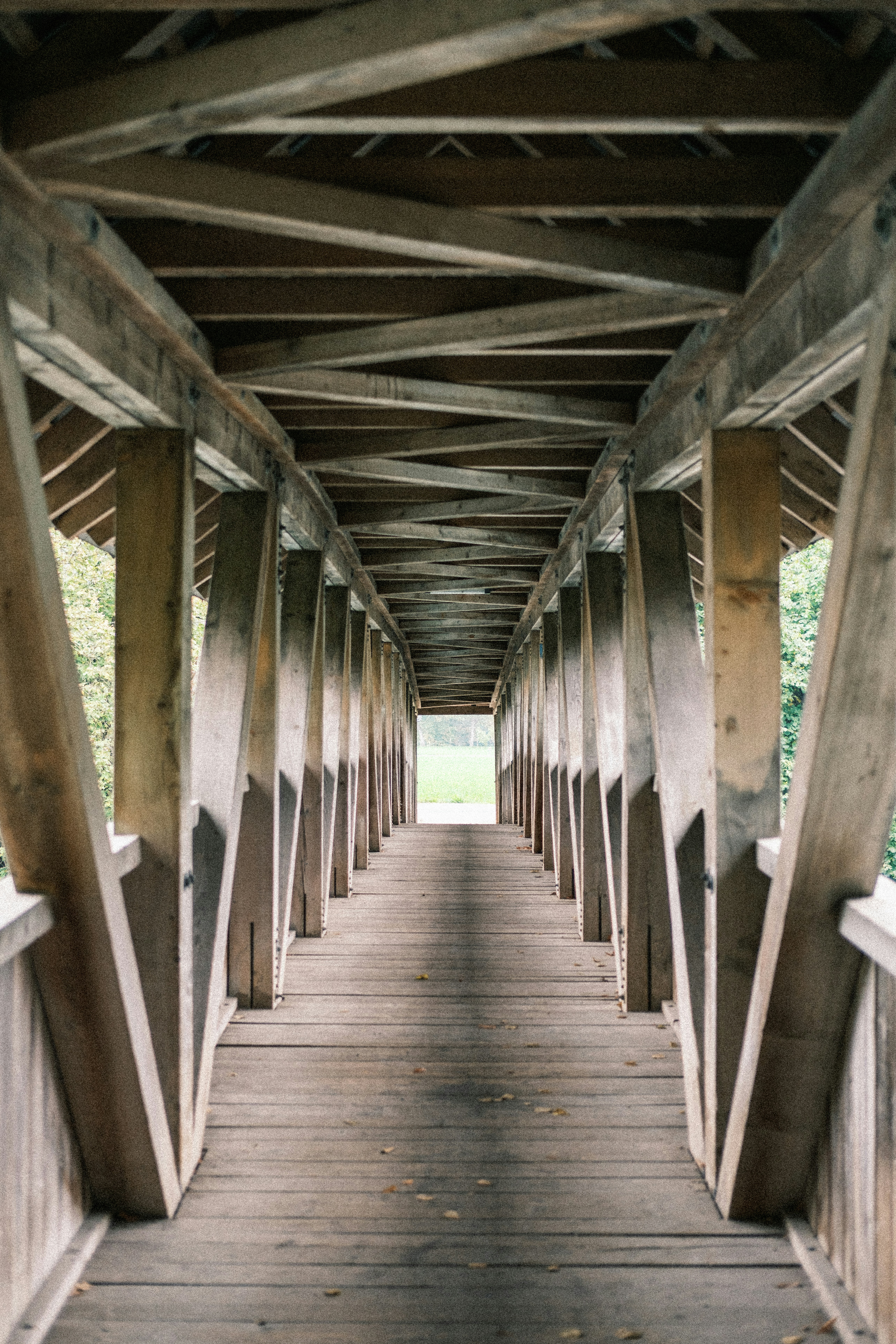 Symmetrical walk: vanishing lines through a timber corridor