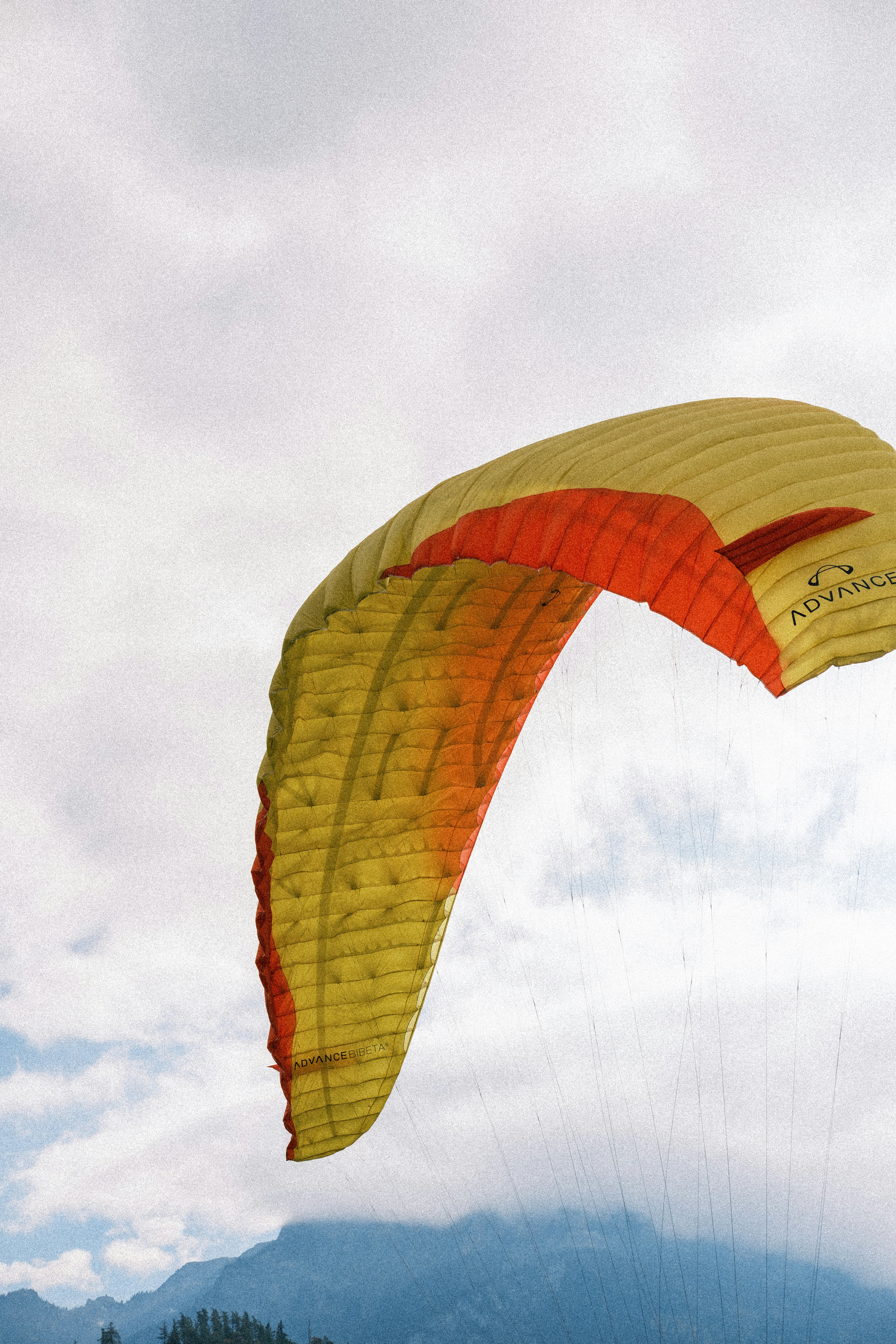 Golden Wing Soars Above Mountain Ridge