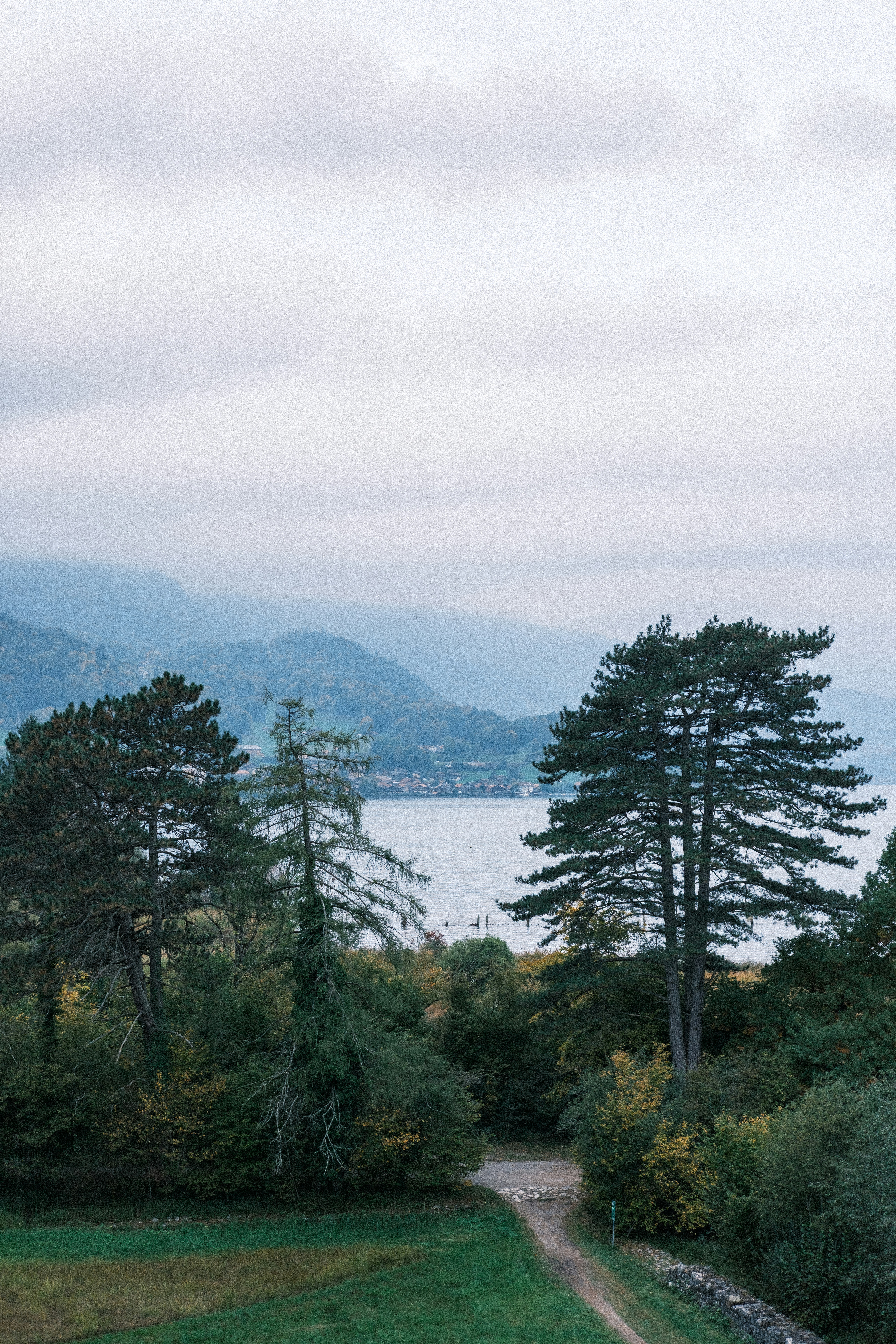 Lakeside Pathways Beneath Quiet Pines