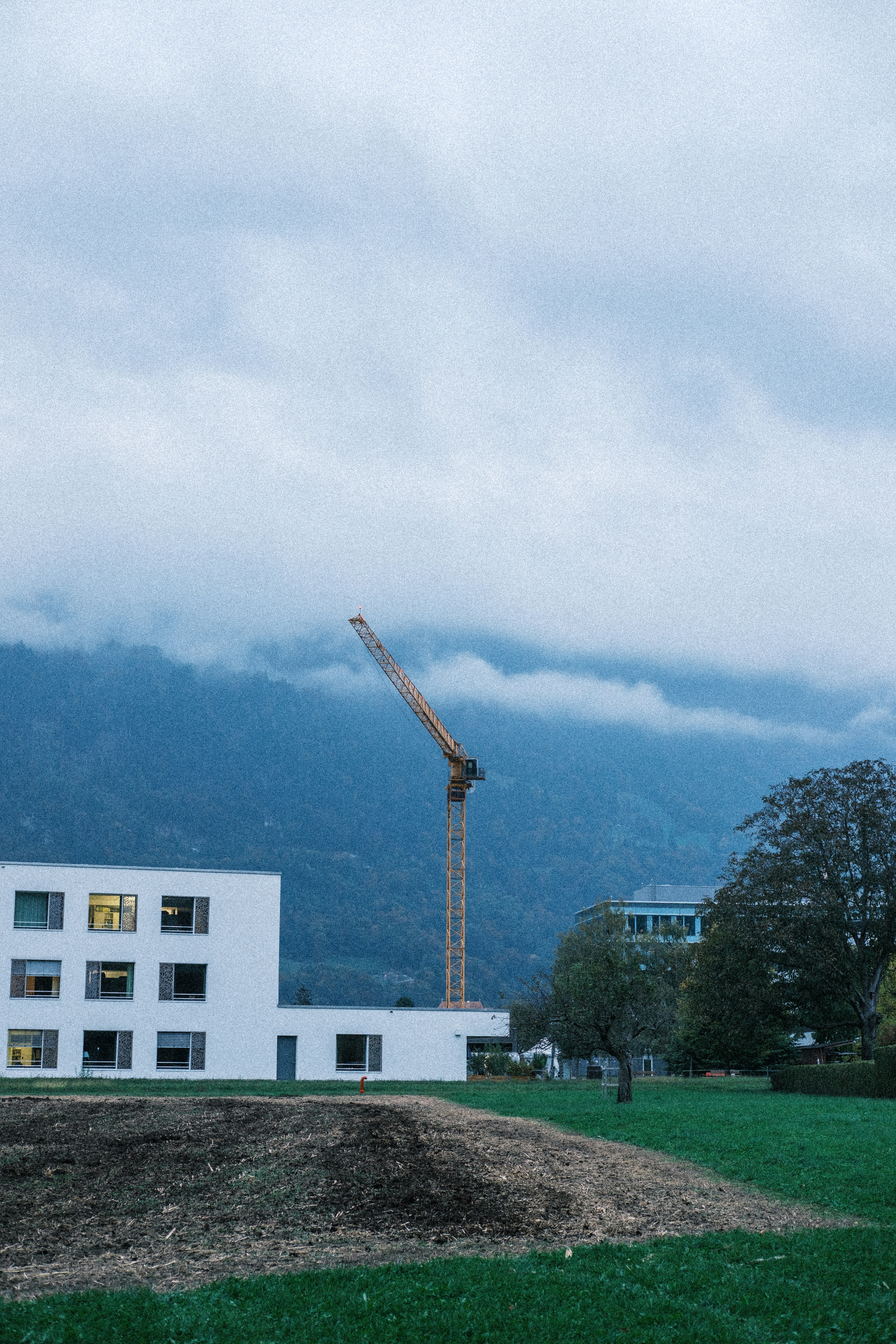 Crane Above a Quiet Campus: Construction Meets Horizon