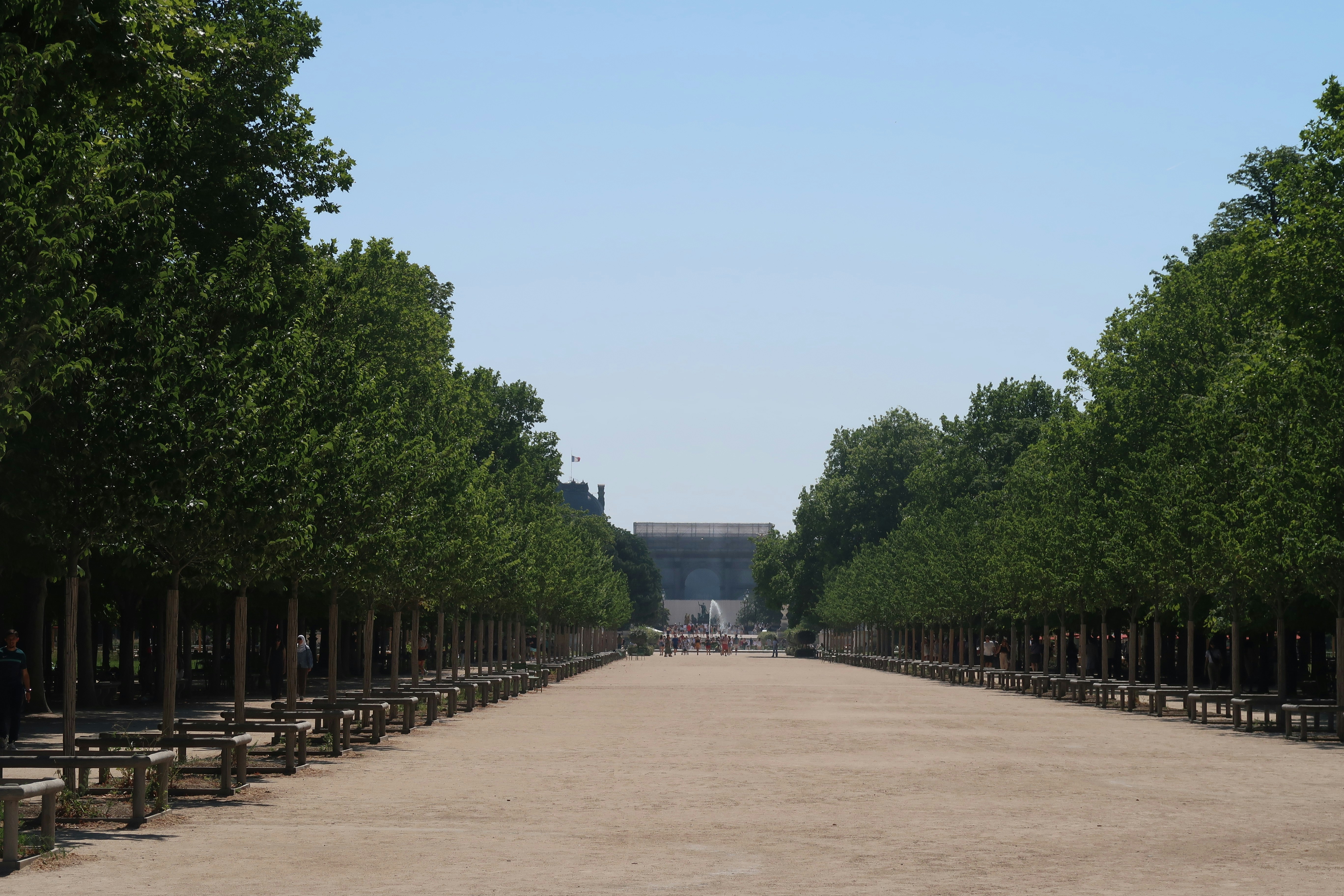 A Tree-Lined Avenue Reaching Toward a Distant Monument