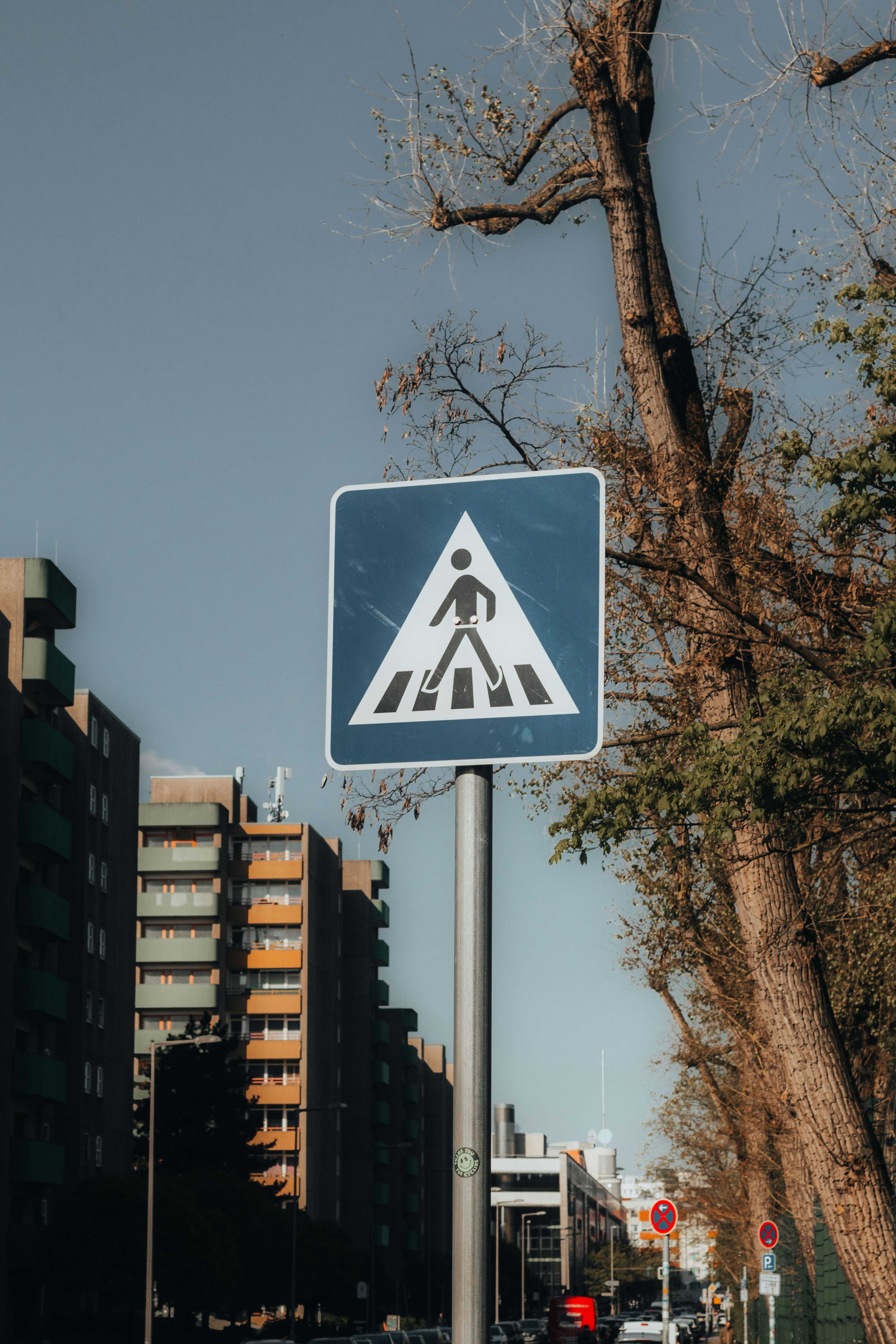 Crosswalk Sign Under a Quiet Urban Sky