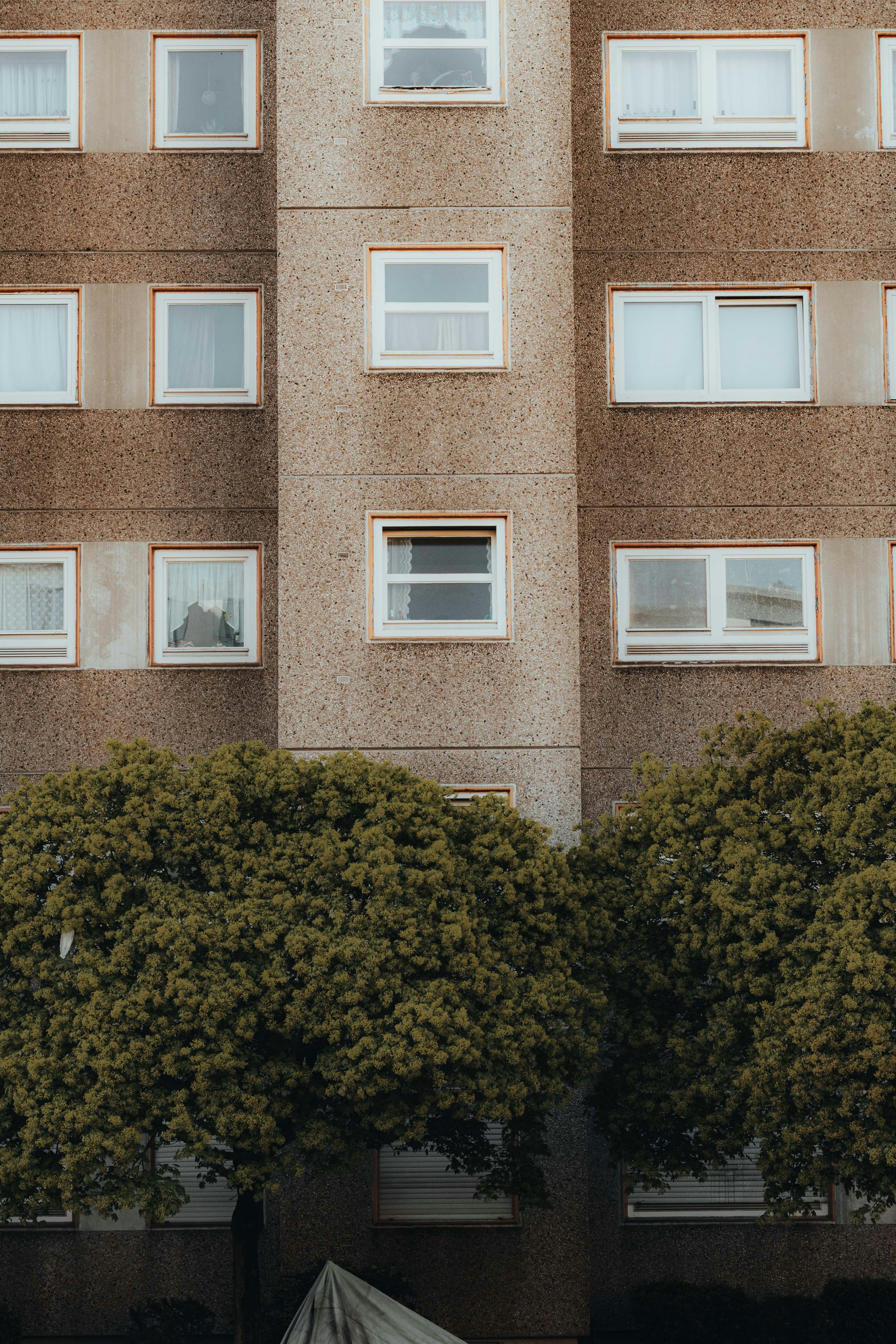 Concrete Rhythm: A Facade of Windows and Green Canopies
