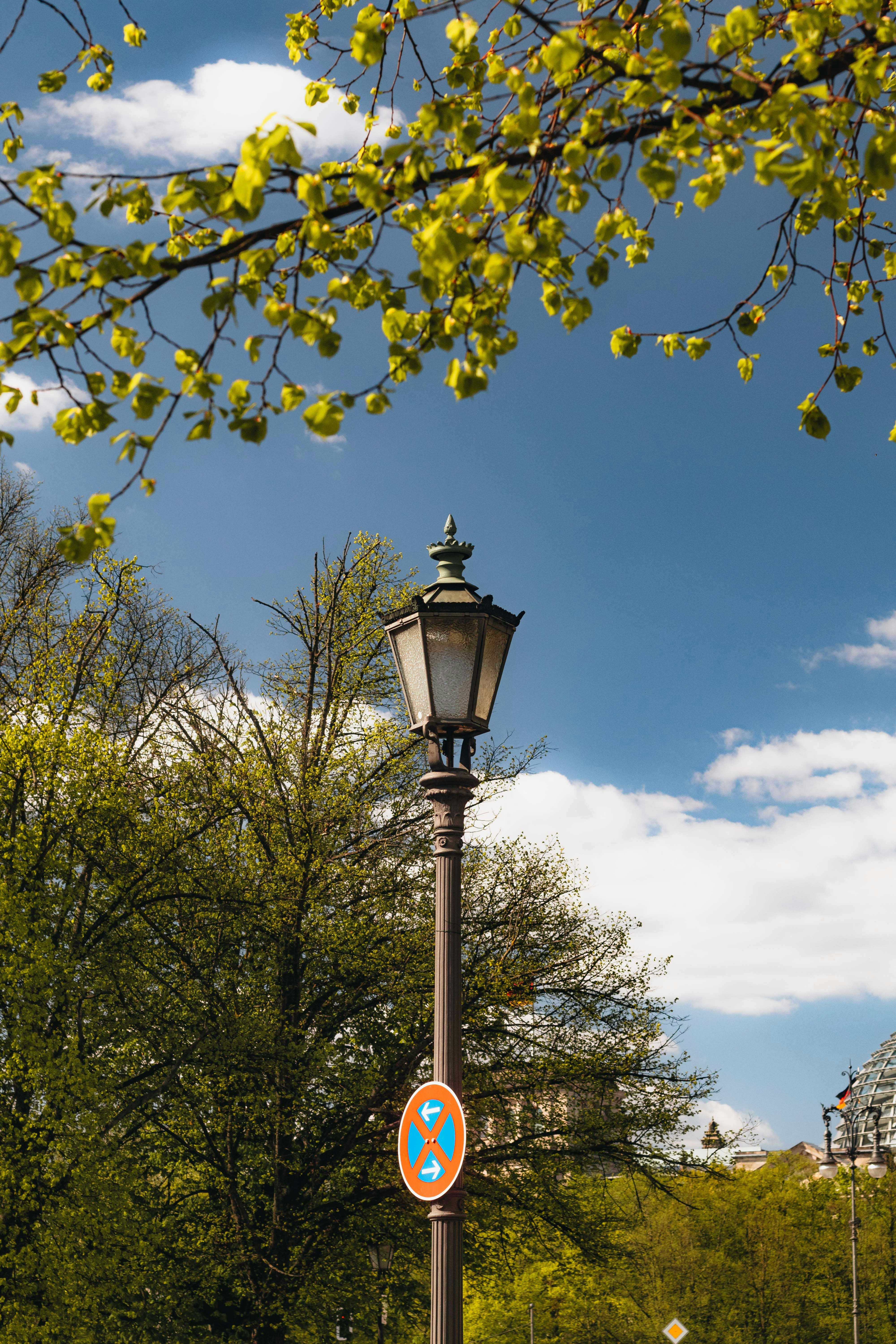 Gentle Street Lantern Under Spring Canopy
