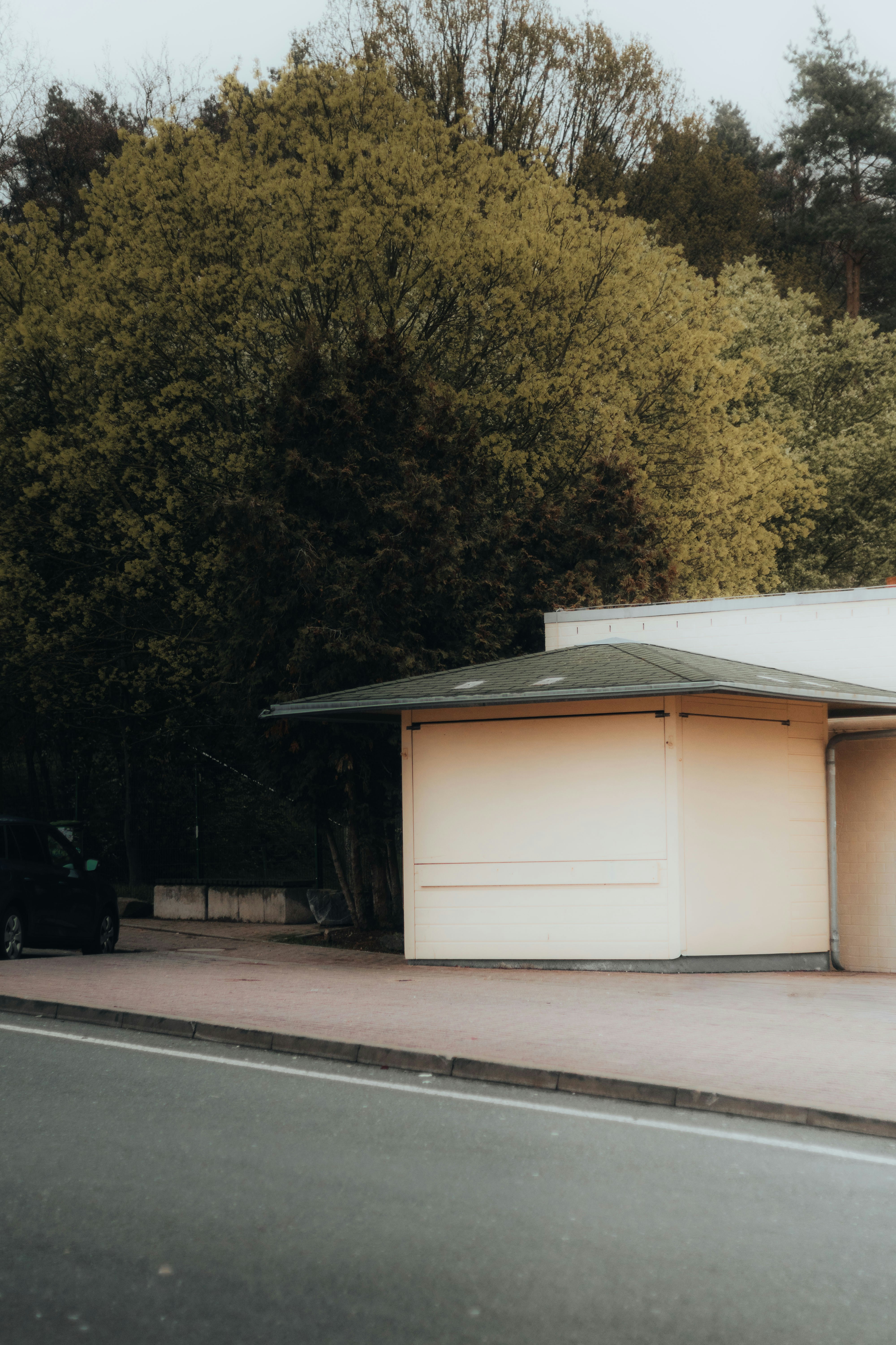 Muted Riverside Garage Beneath Autumn Canopy