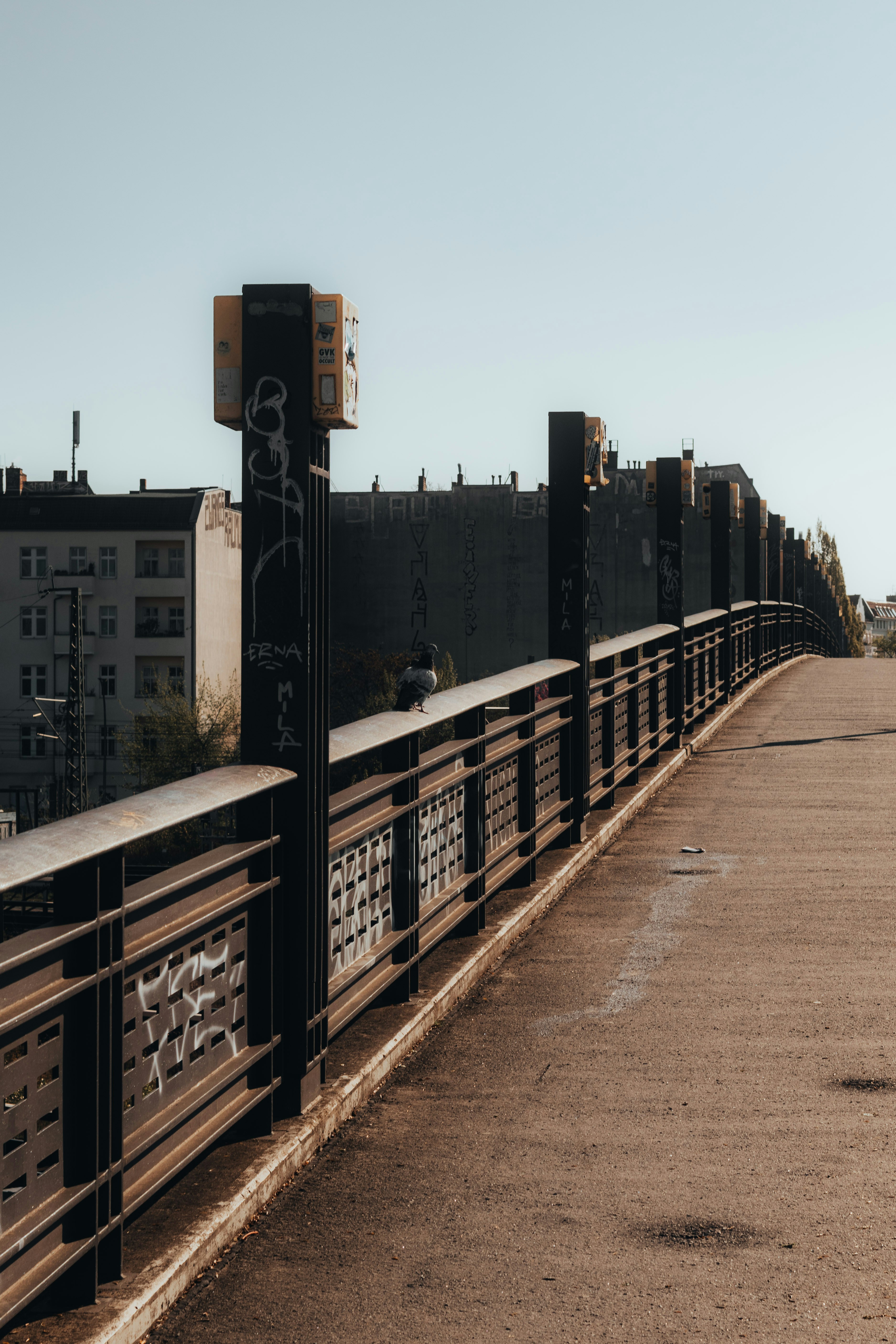 Rusted Railings and Quiet Skyline: A Walk Across the Concrete Span