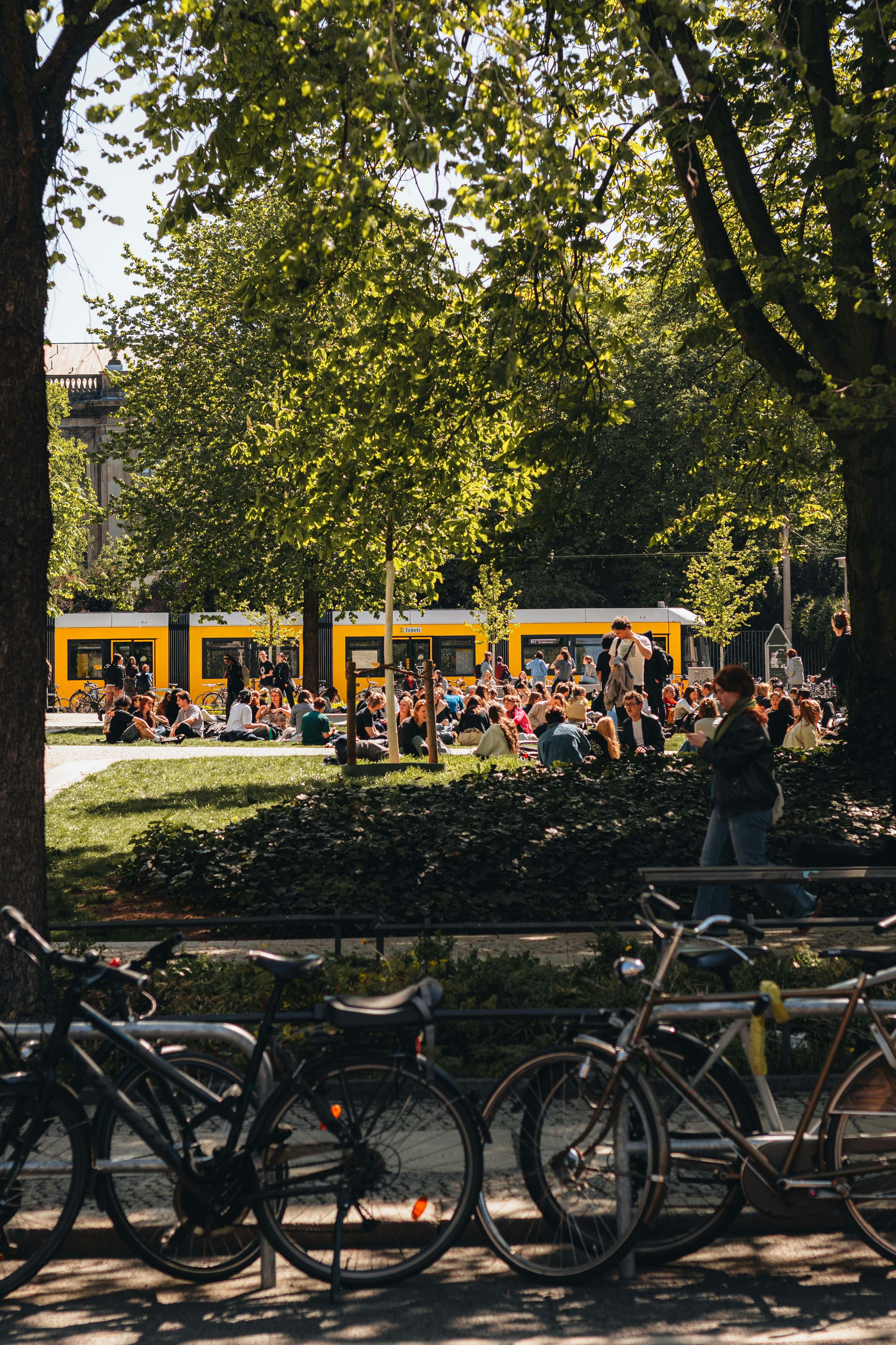 Sunlit Crowd by the Yellow Train