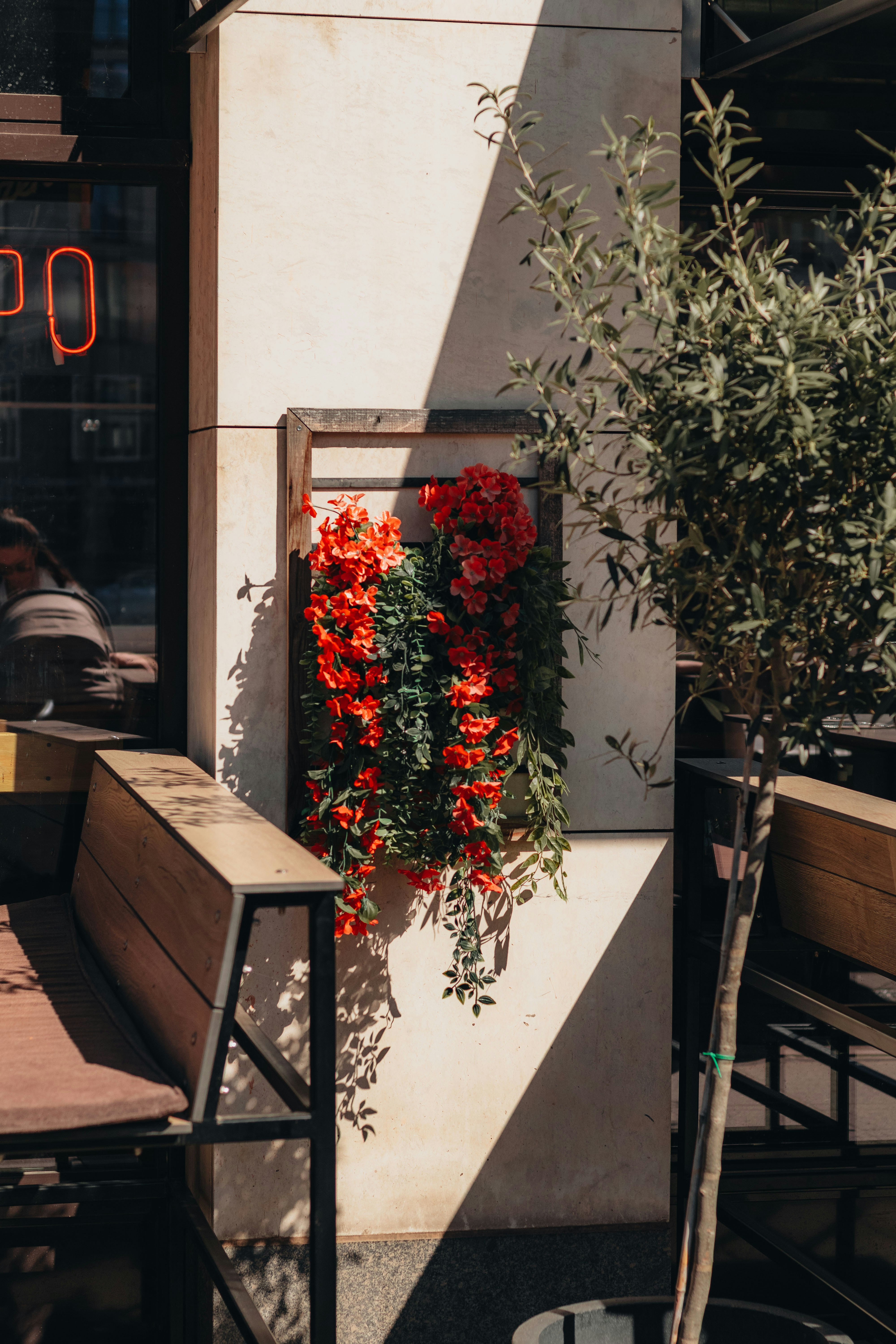 Vertical bloom: a planter of crimson petals framed by concrete and shadow