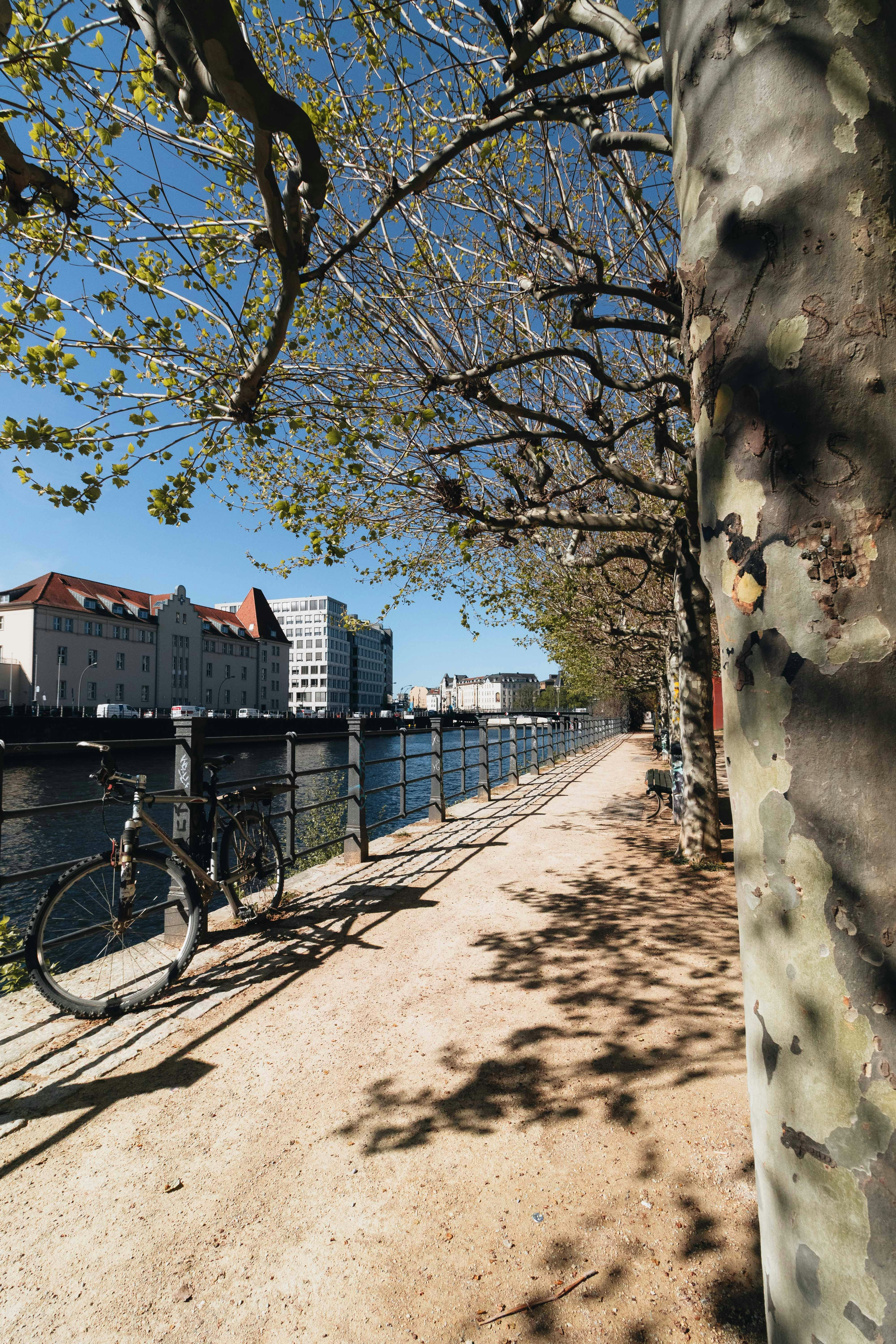 Evening along the riverfront: bicycles, bark and blue sky