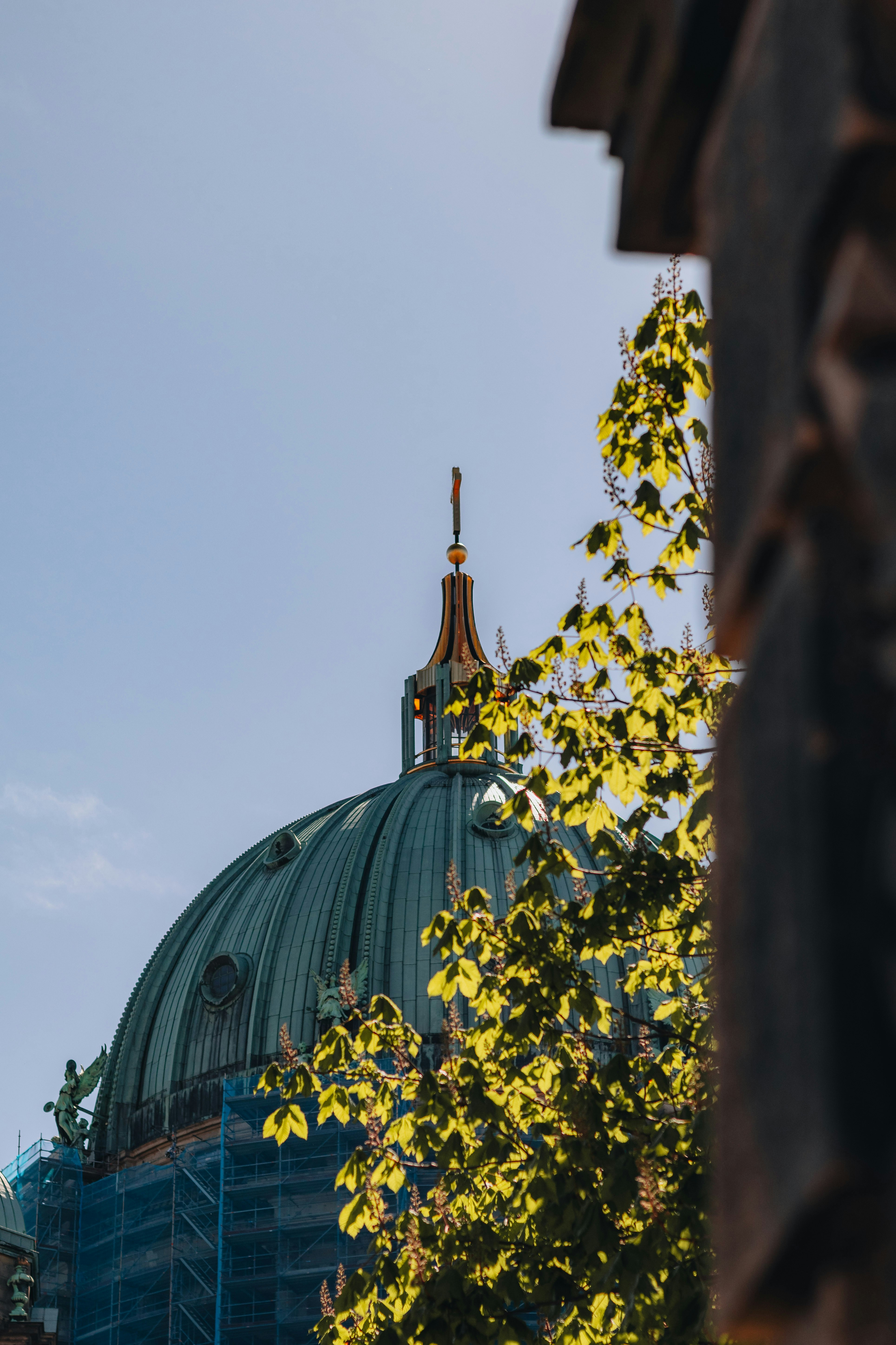 Dome of Athenian Grandeur: Sunlit Leaves Framing a Historic Cupola