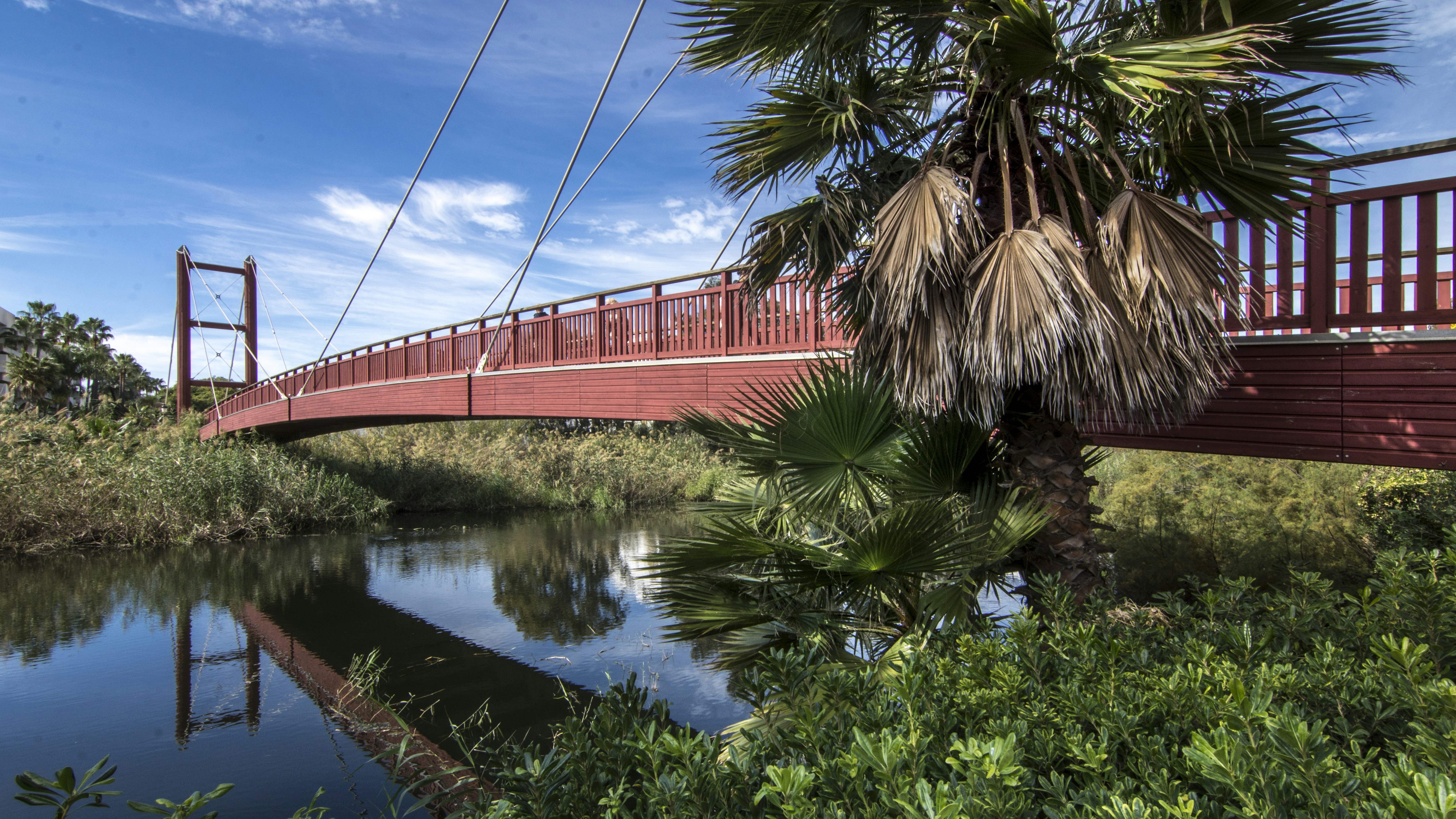 Red footbridge over a calm river, framed by palm fronds