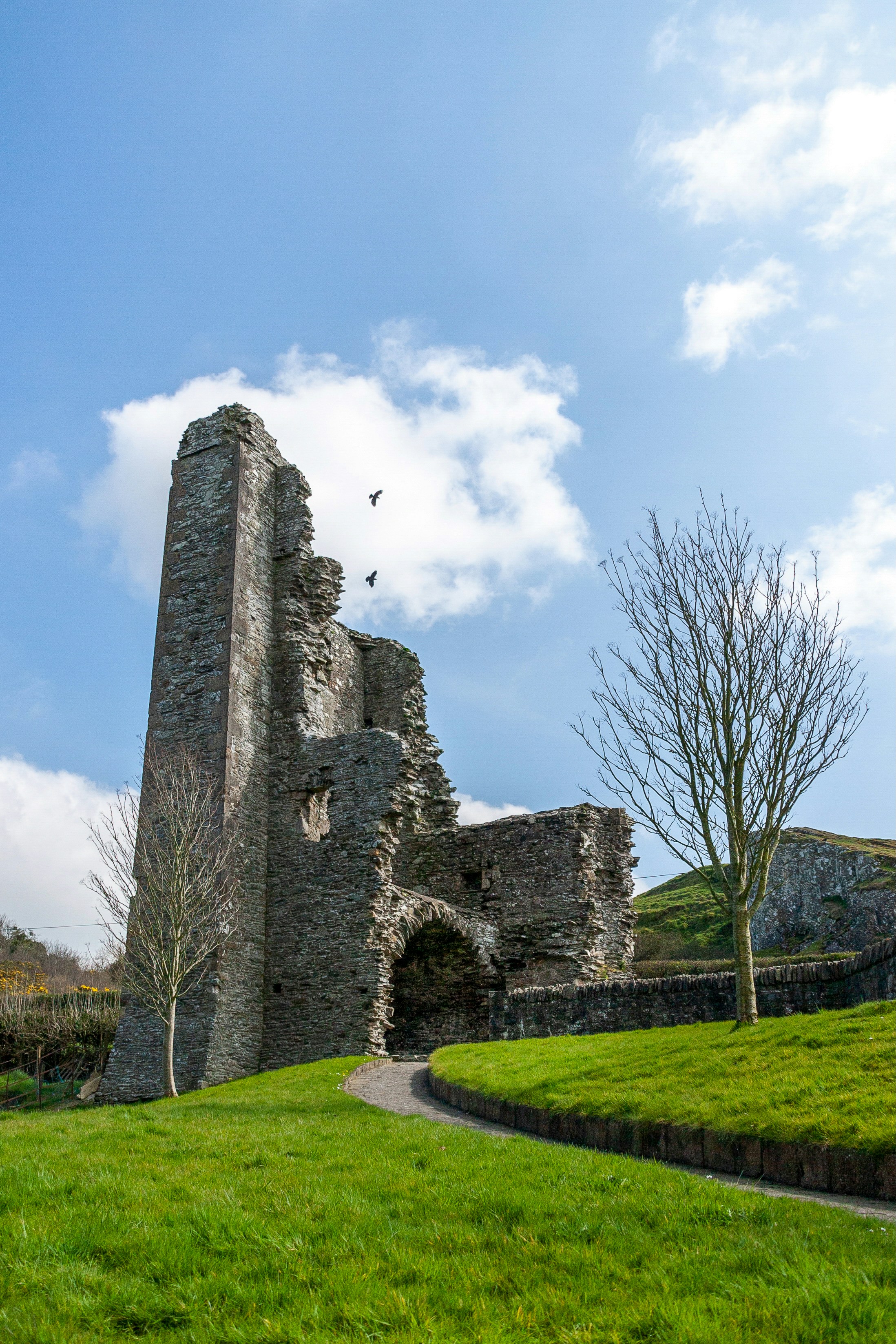 Ruins in Green Vale: A Stone Tower Reaching Toward a Blue Sky