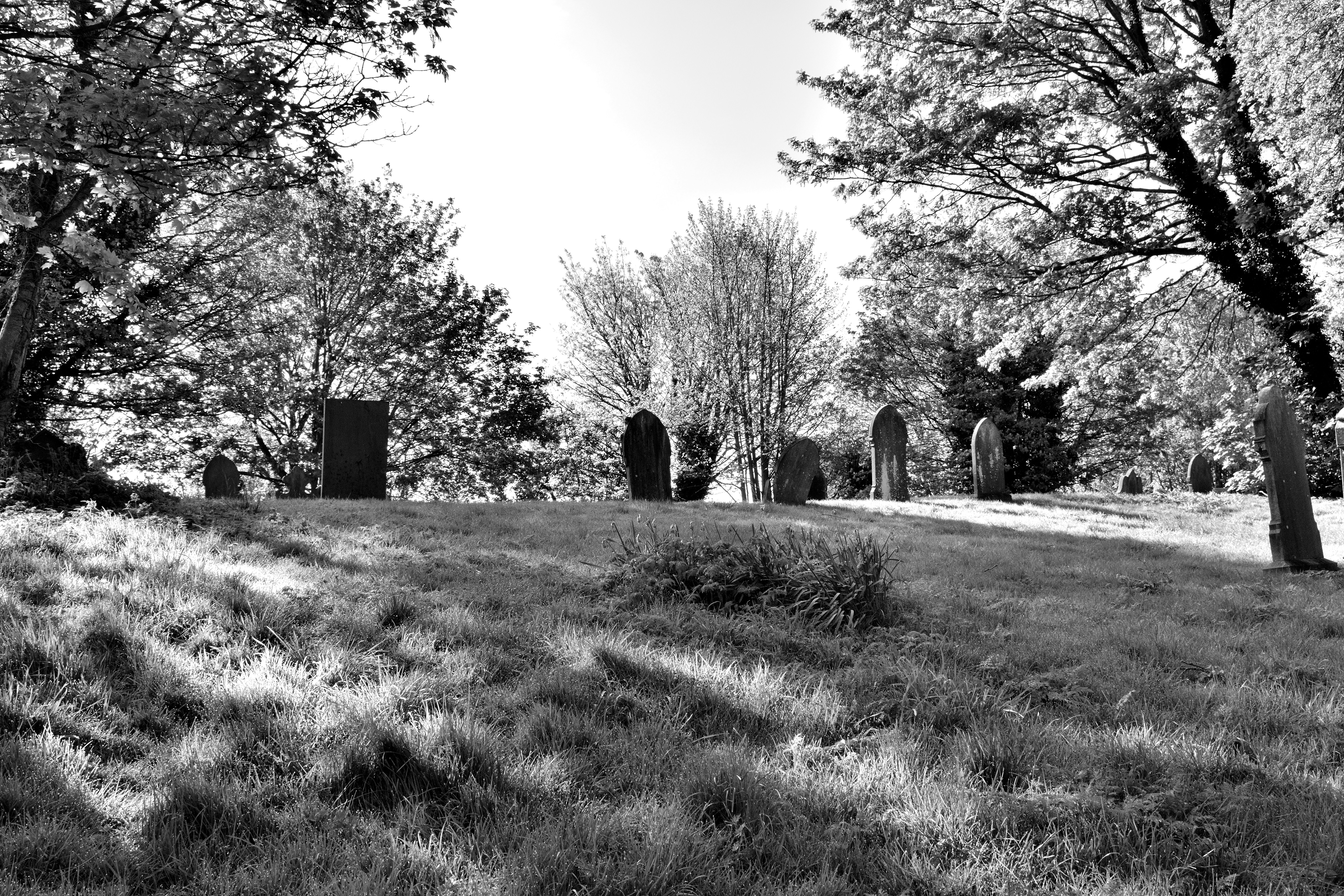 Silhouetted Gravestones on a Sunlit Slope